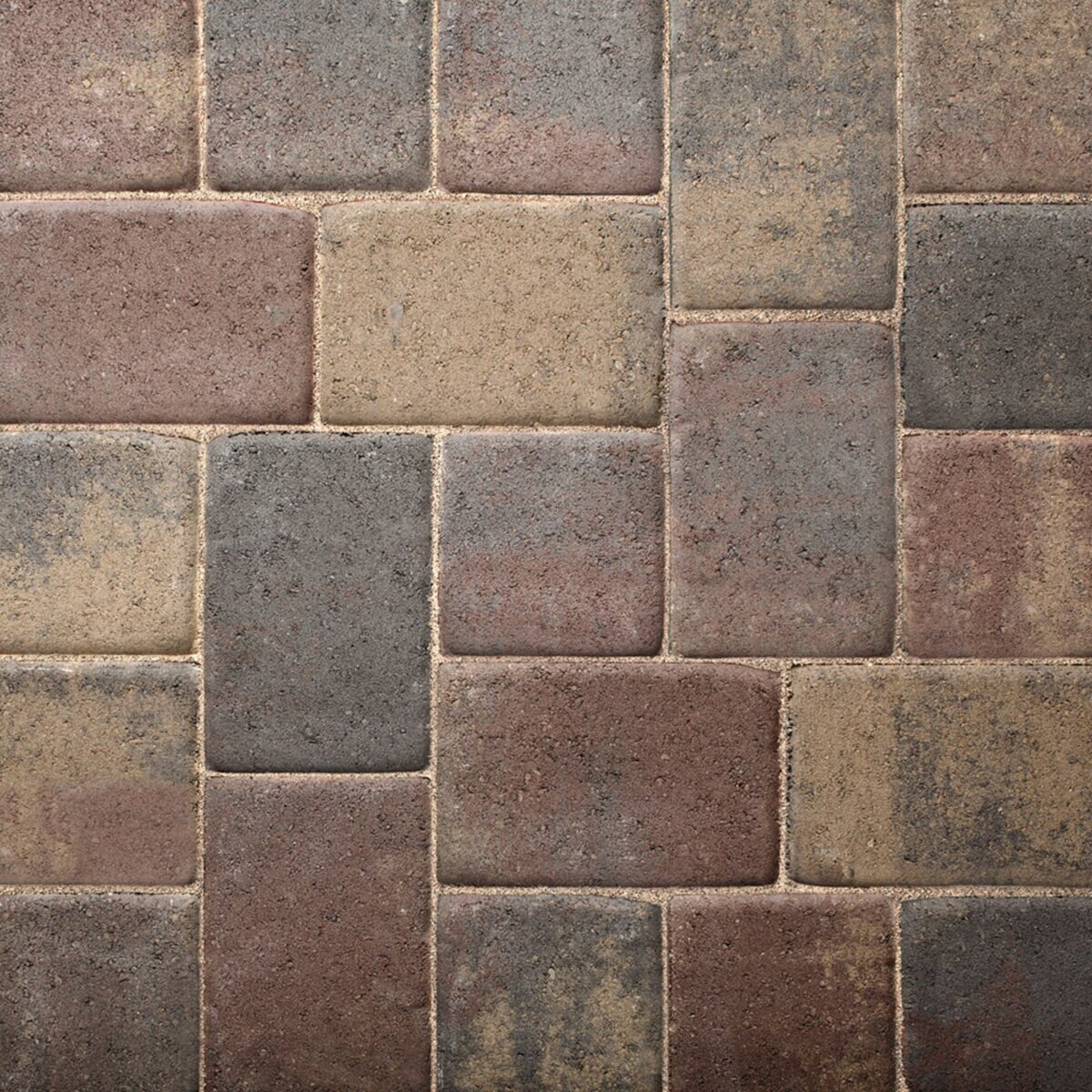Belgard Cambridge Cobble Paver Autumn Blend 9 in. x 12 in. 60 mm (120 ...