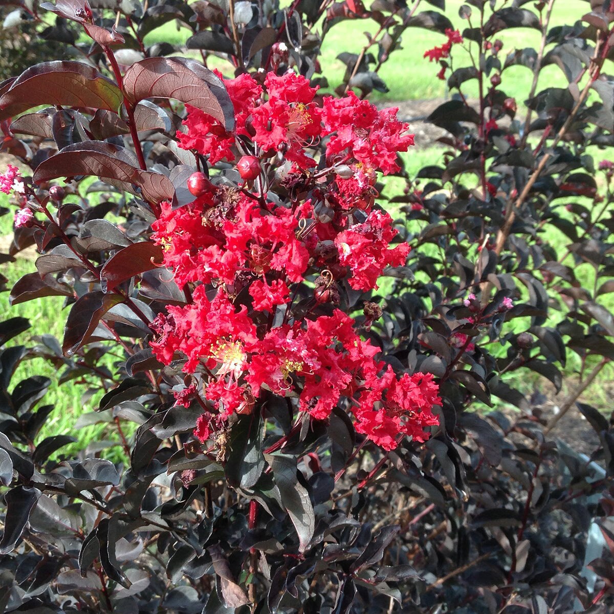 permaloc Geoedge 4 in. X 3 - 1/4 in. X 12 in. Base Out Corner Mill ...