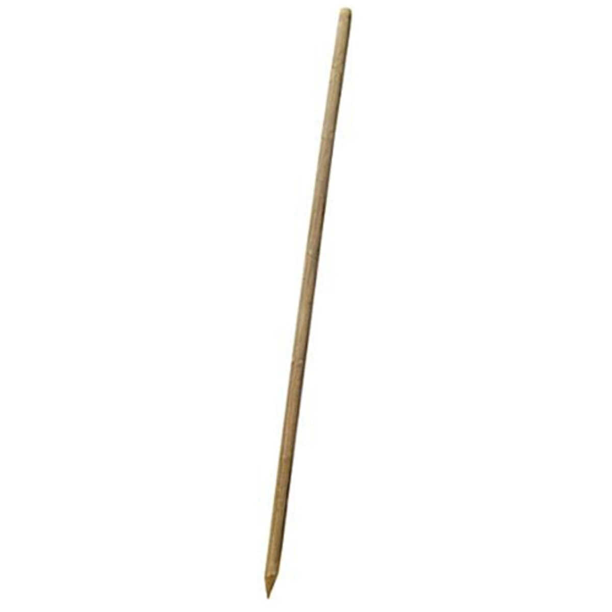 Lodgepole Tree Stake Untreated 2 in. x 2 in. x 10 ft | SiteOne US