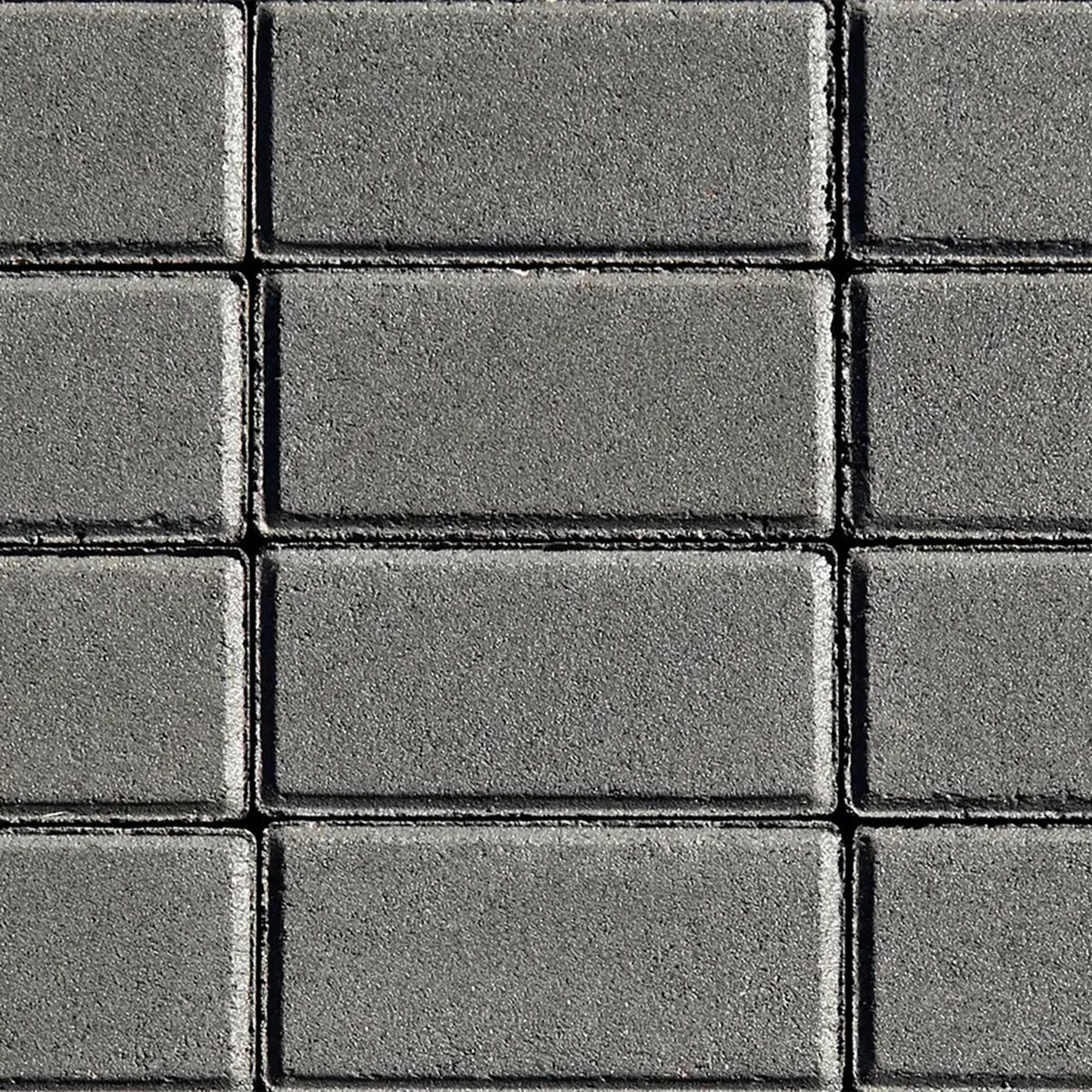 Ackerstone Holland I Charcoal 4 in. x 8 in. 60mm (117 sq. ft./pallet ...