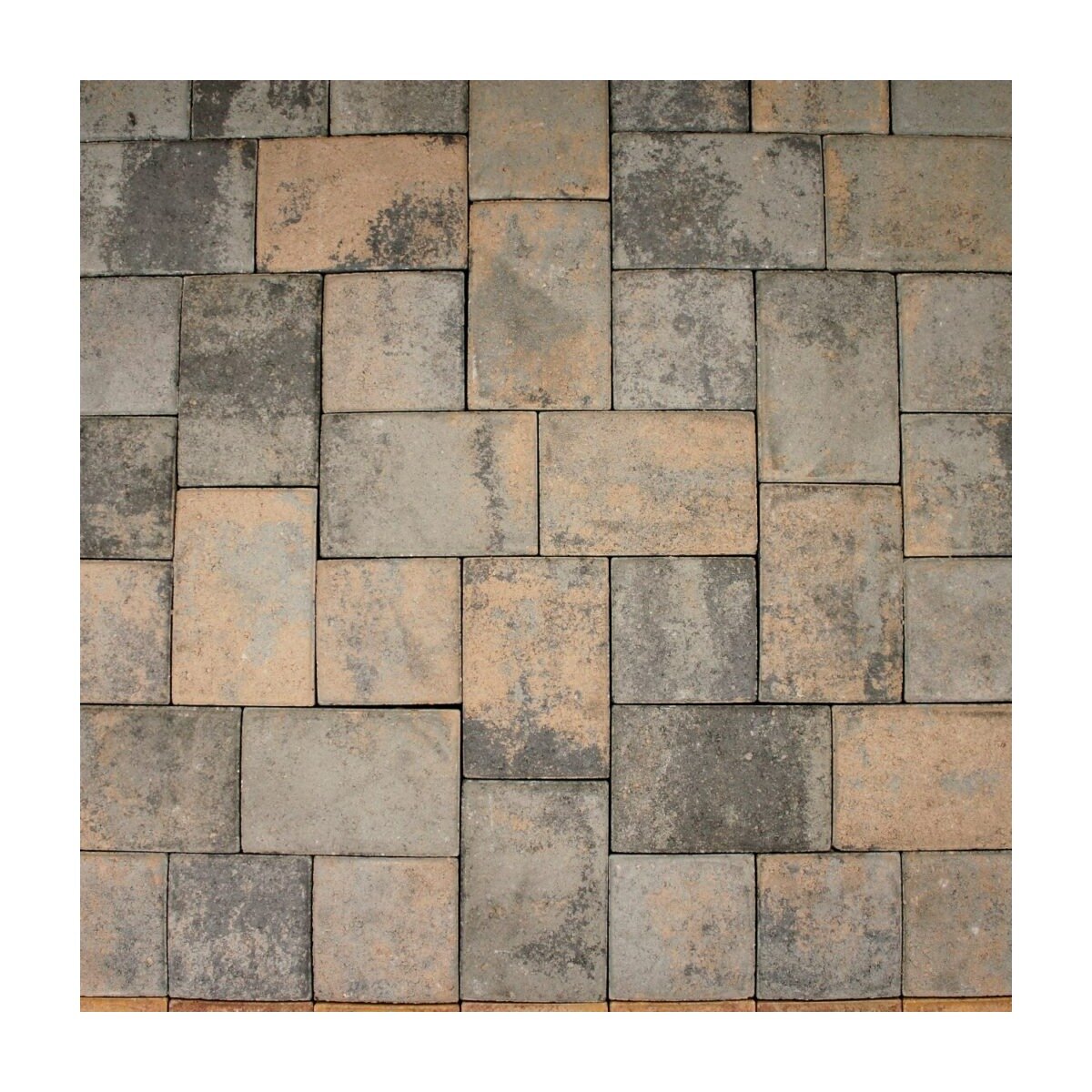 Air Vol Roman Quad Paver Morro Bay Gray 60 mm (98.4 sq. ft./pallet ...