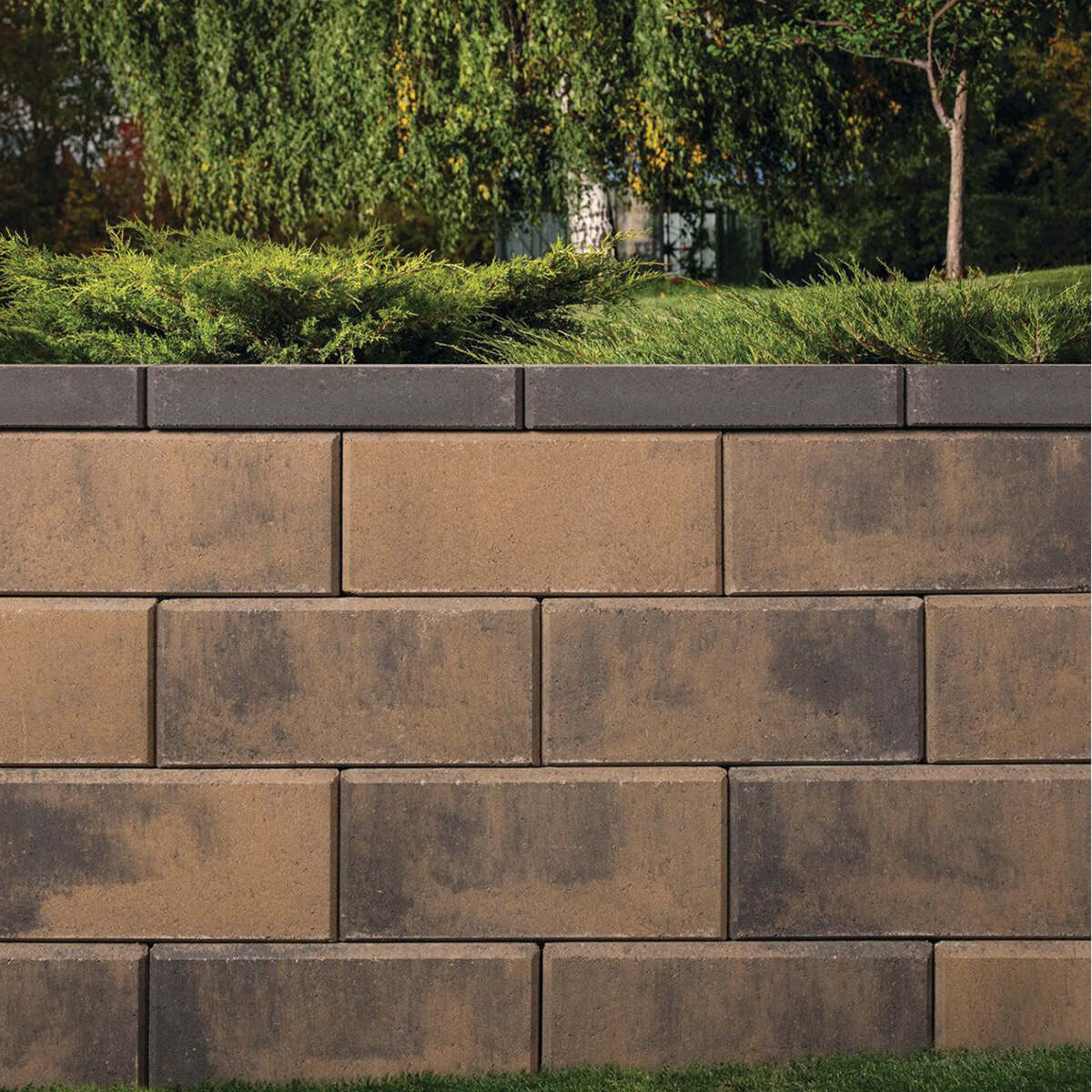 Belgard Allan Block Metropolitan Wall Block 18 in. x 12 in. x 8 in ...