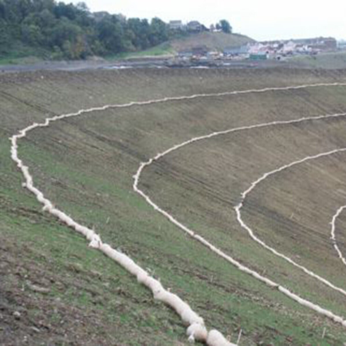 American Excelsior Curlex Sediment Log 12 in. x 10 ft. (36/pallet ...