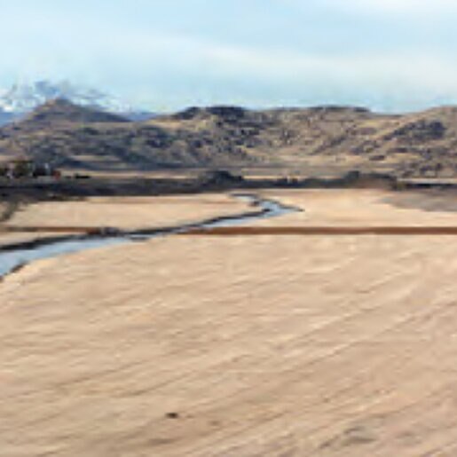 American Excelsior Curlex II Erosion Control Blanket Bio 8 ft. x 101.25 ...