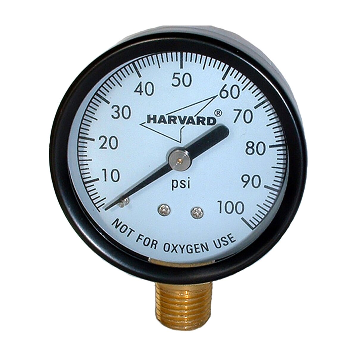 American Granby Pressure Gauge Plastic 0 PSI - 100 PSI 1/4 in. Lower ...