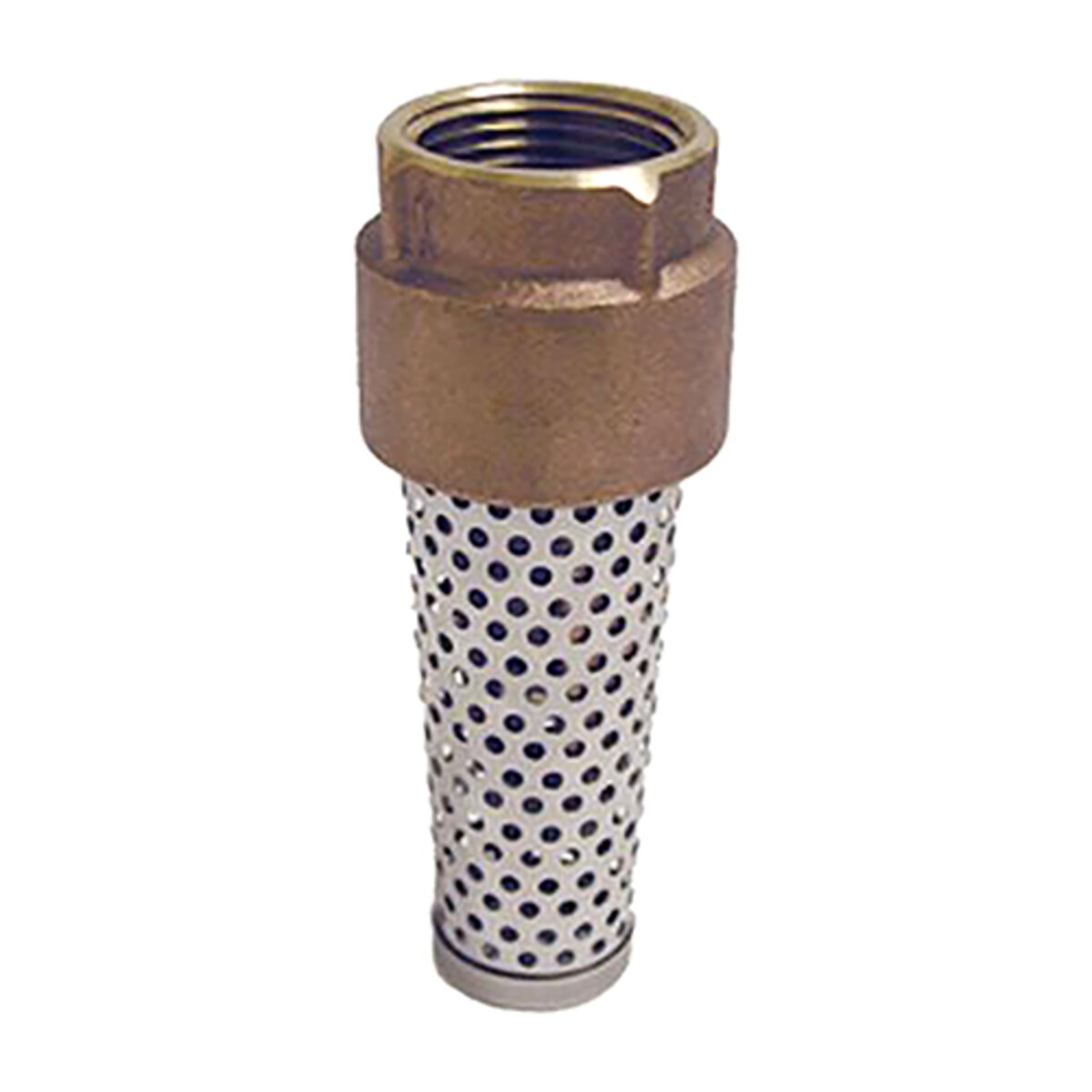 1.5 Brass Foot Valve With SS Screen | SiteOne US