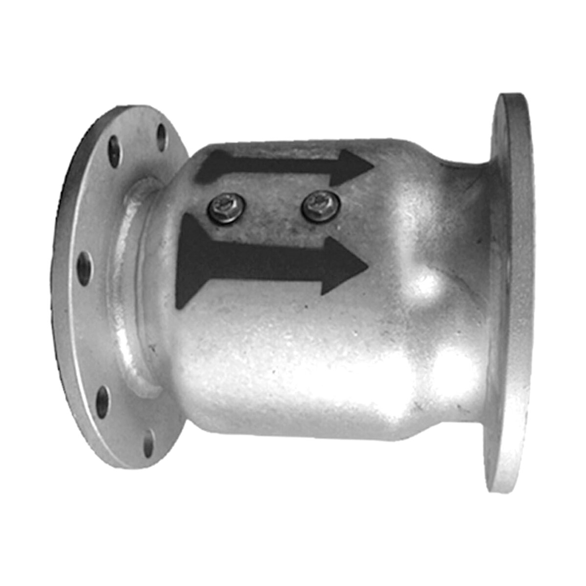 Ames Flanged Check Valve 6 in | SiteOne US