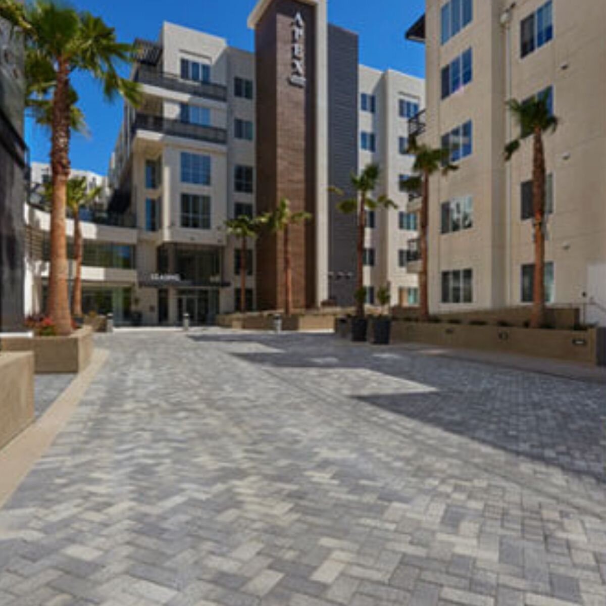 Angelus Holland Paver Sand/Stone/Mocha 60 mm (113 sq. ft./pallet) | SiteOne