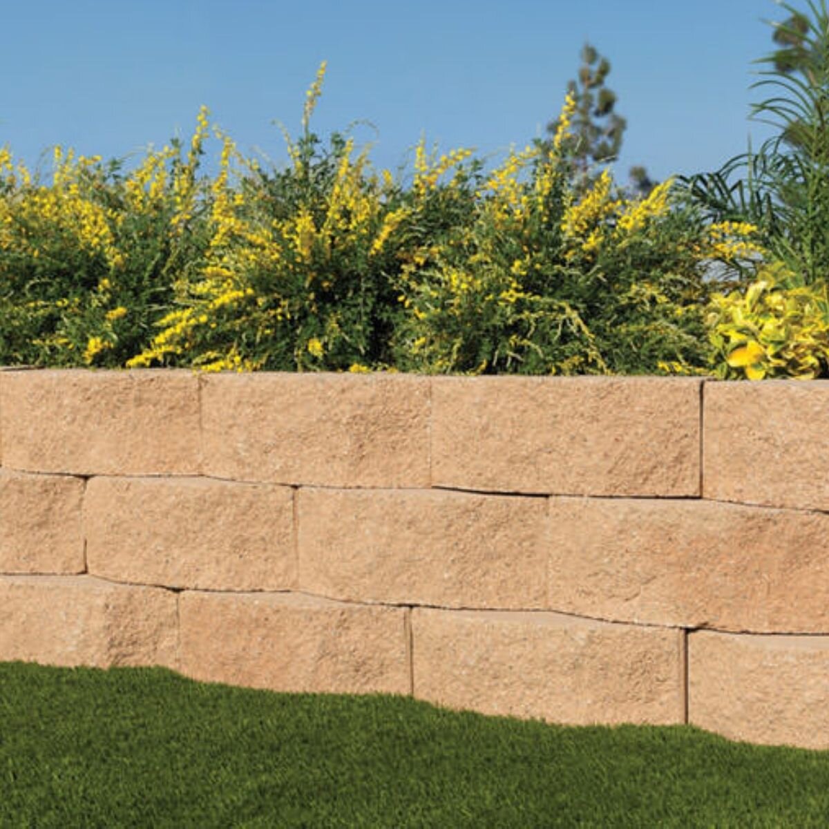 Angelus Planter Wall Block Tan 16 in. x 6 in. x 10 in. (48/pallet) | SiteOne