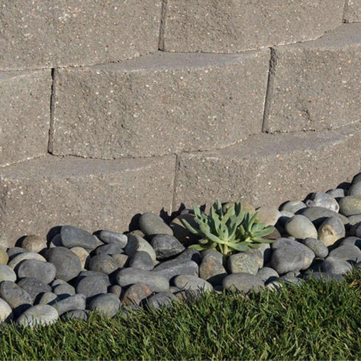 Angelus Planter Wall Block Gray 16 in. x 6 in. x 10 in. | SiteOne