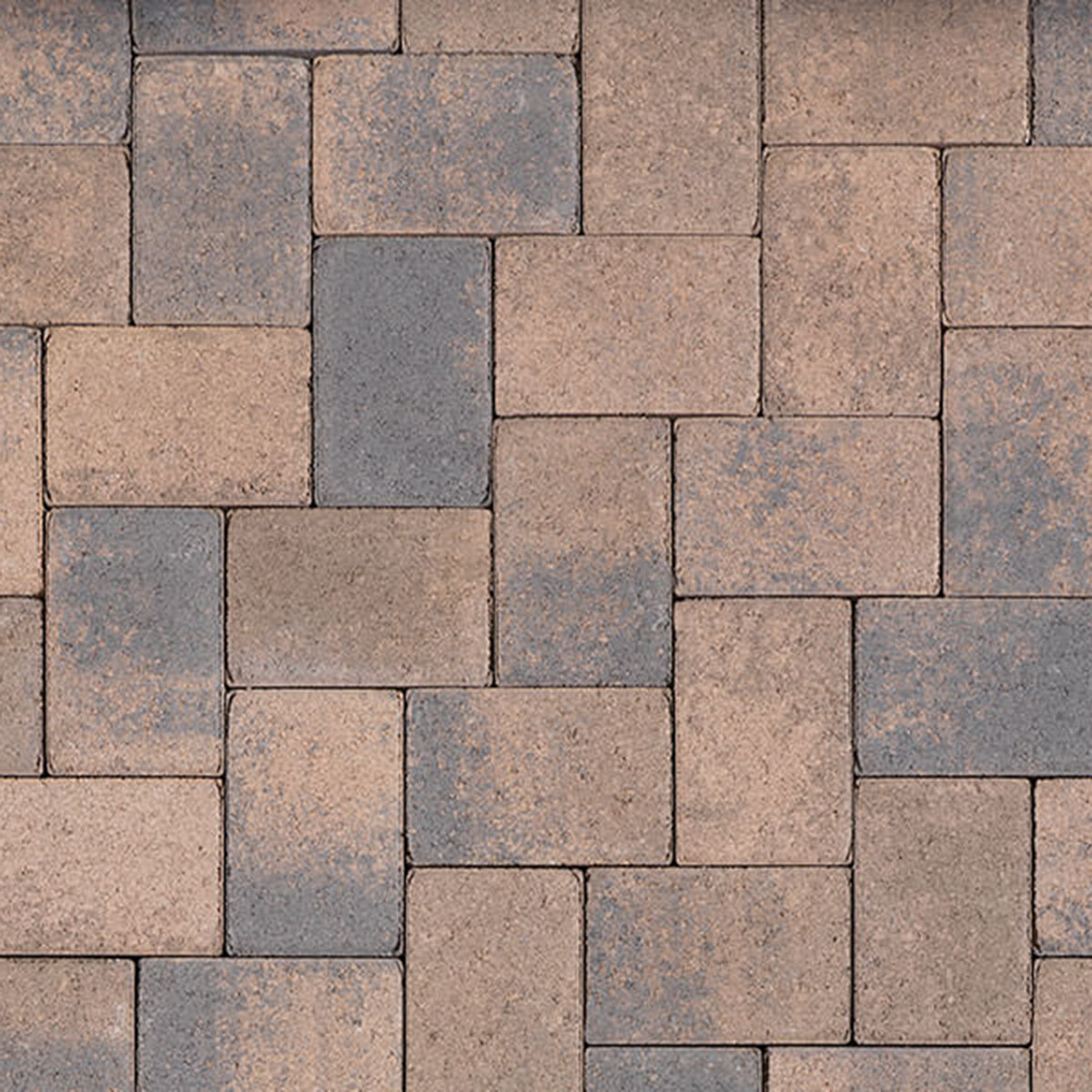 Angelus Antique Cobble II Paver Sand/Stone/Mocha Standard 60 mm (118 sq ...