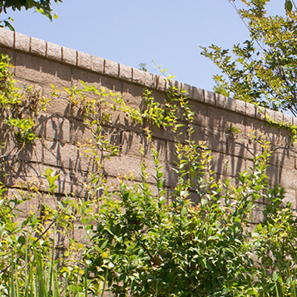 Angelus Slumpstone 3-Score Solid Top Cap Block Doeskin 8 in. x 4 in. x ...