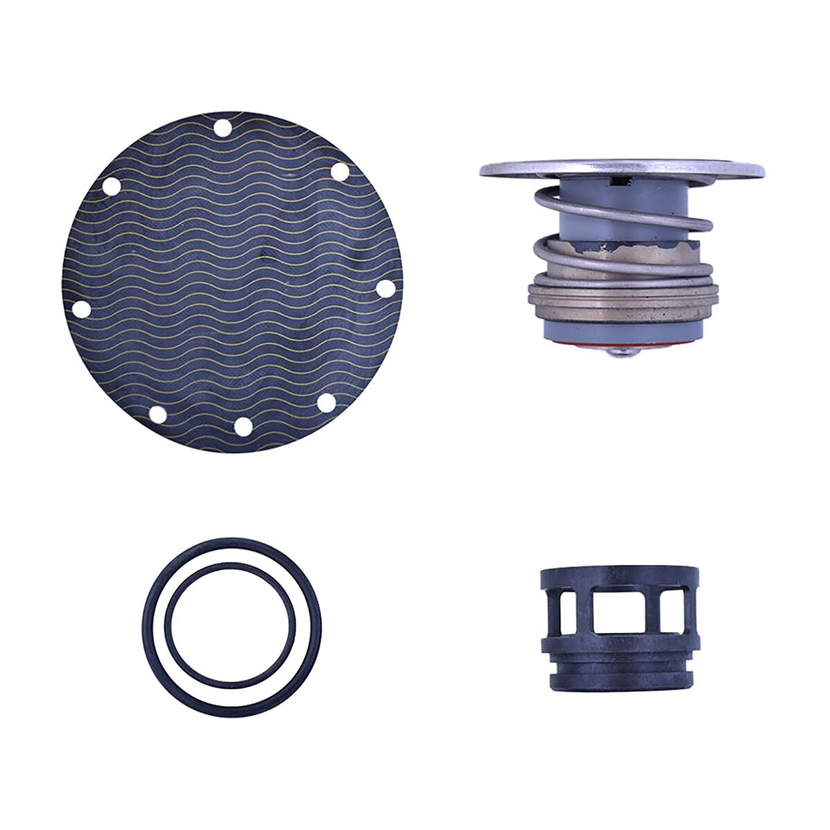 Apollo Complete Relief Valve Repair Kit 2 in | SiteOne US