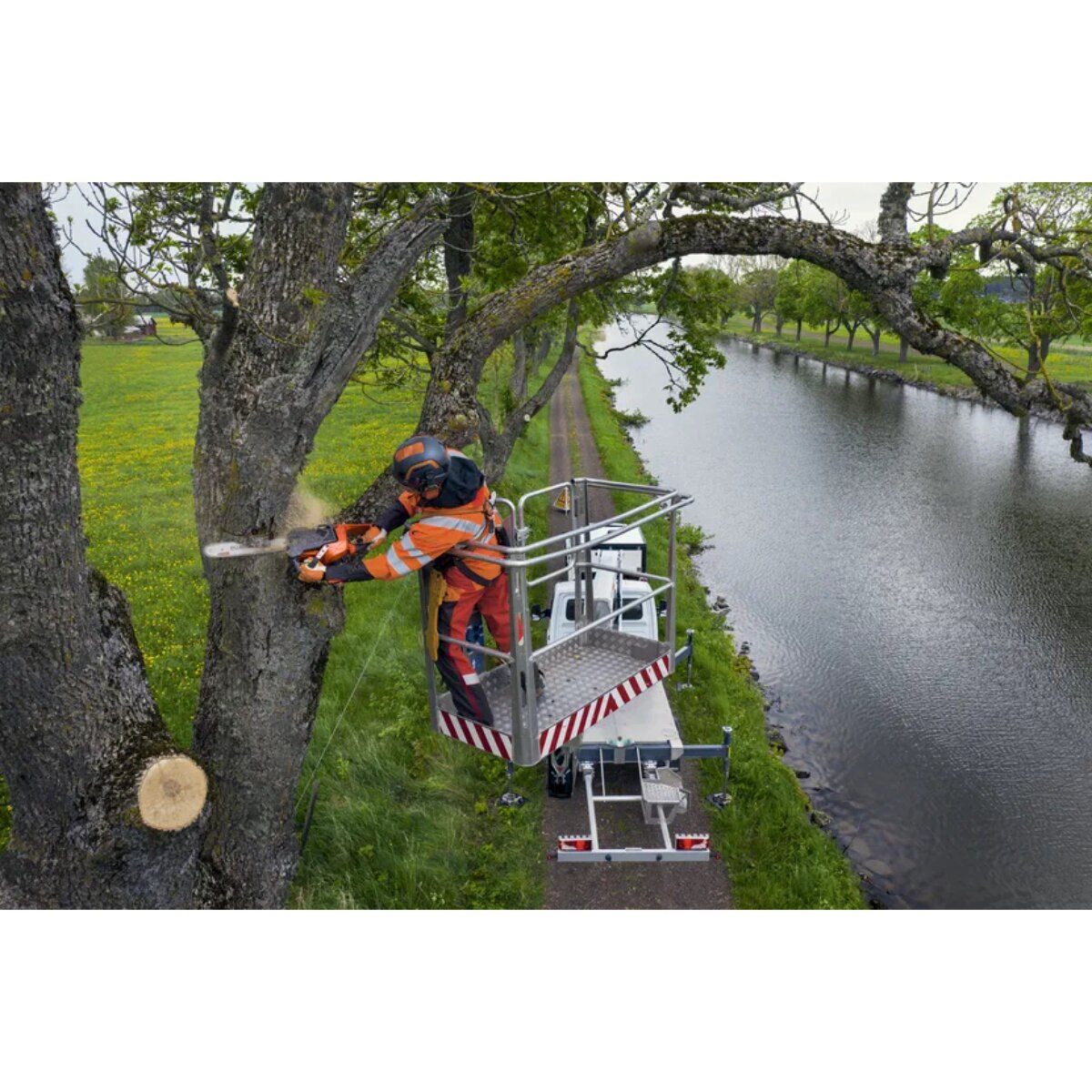 ArborJet Adjustable/Allen Wrench with Clean Out Tool, Drill Bit, Plug ...