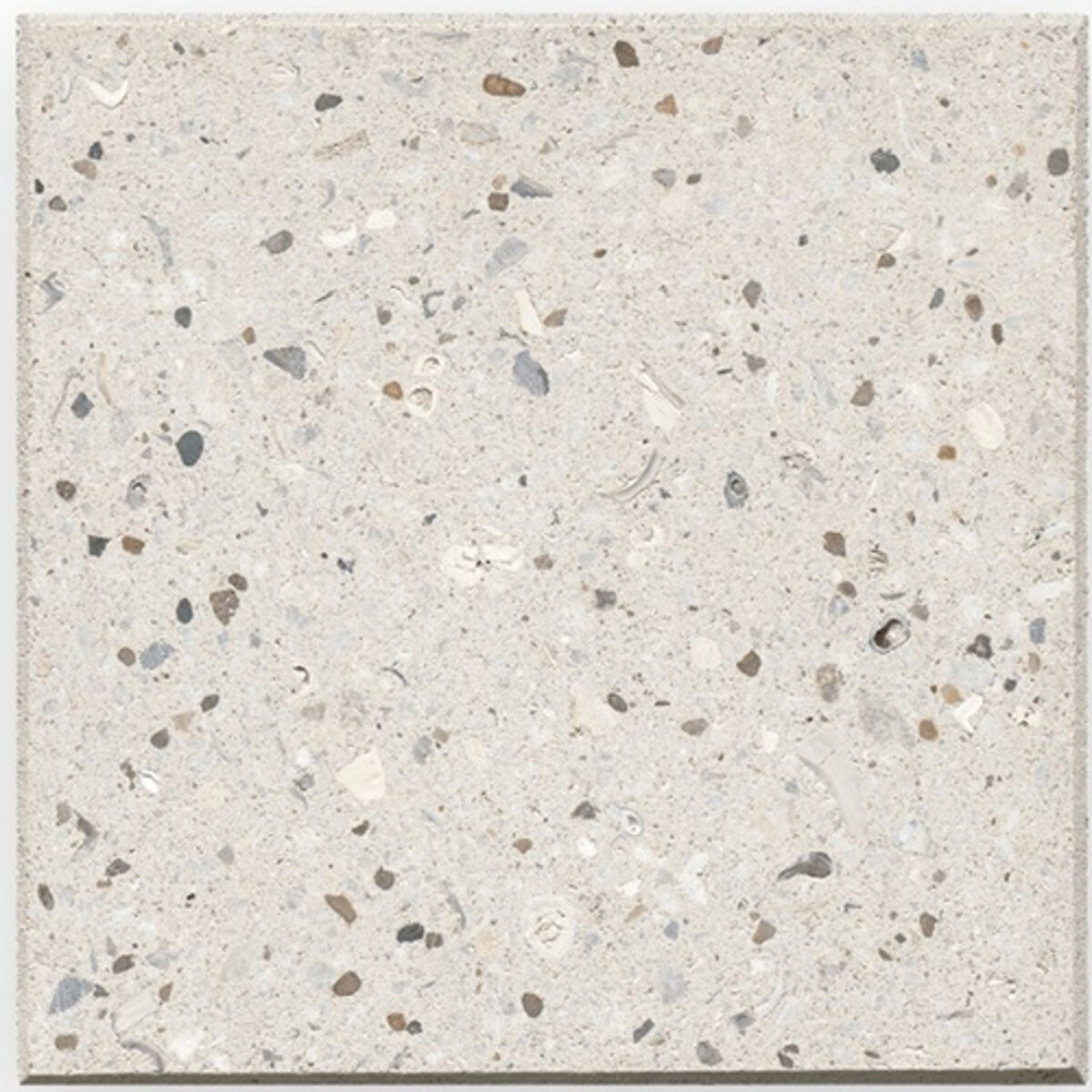 Artistic Desert Series Shellock Single Sided Bullnose Coping Cool White ...