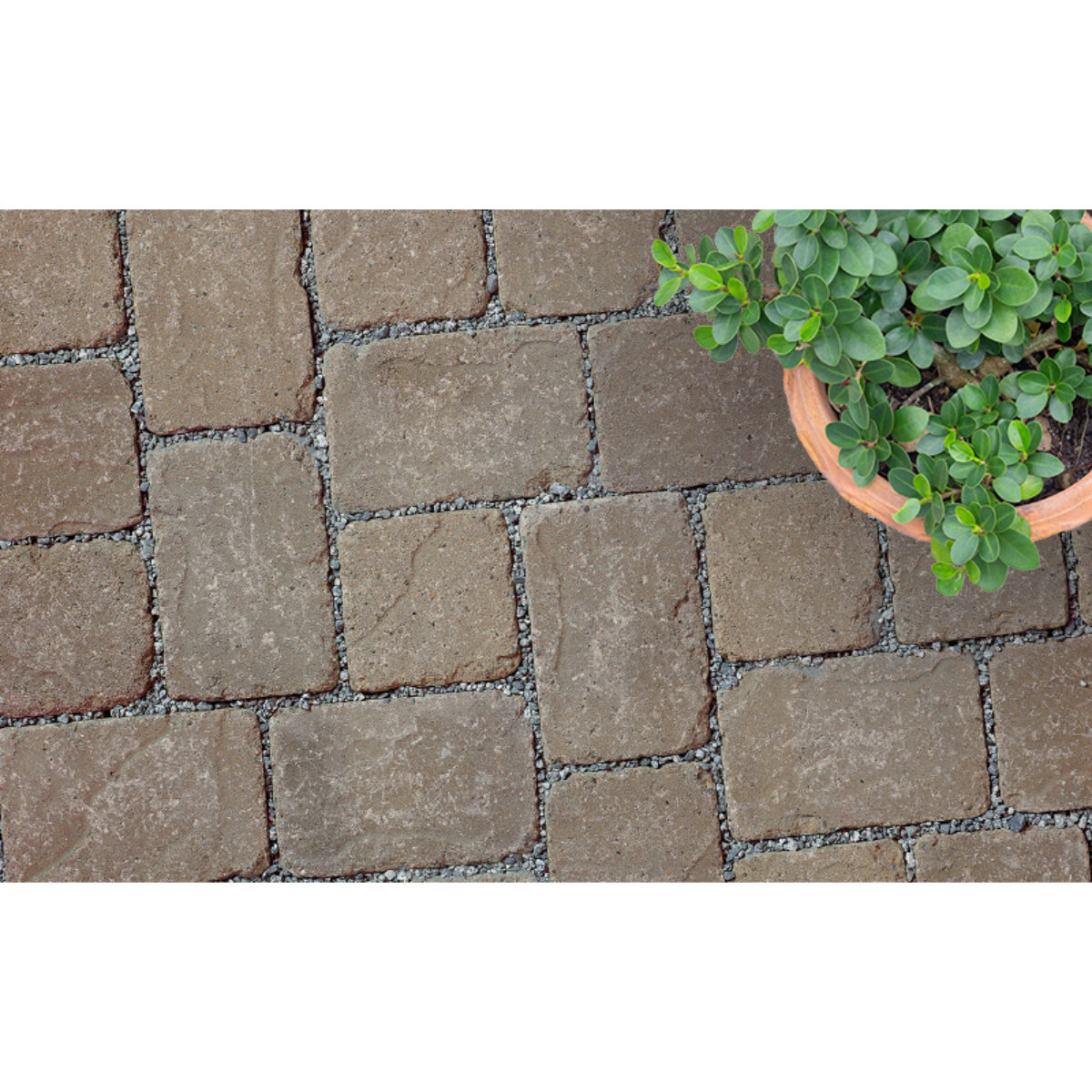 Basalite Italian Renaissance Verona Mega (102 sq. ft./pallet) | SiteOne US