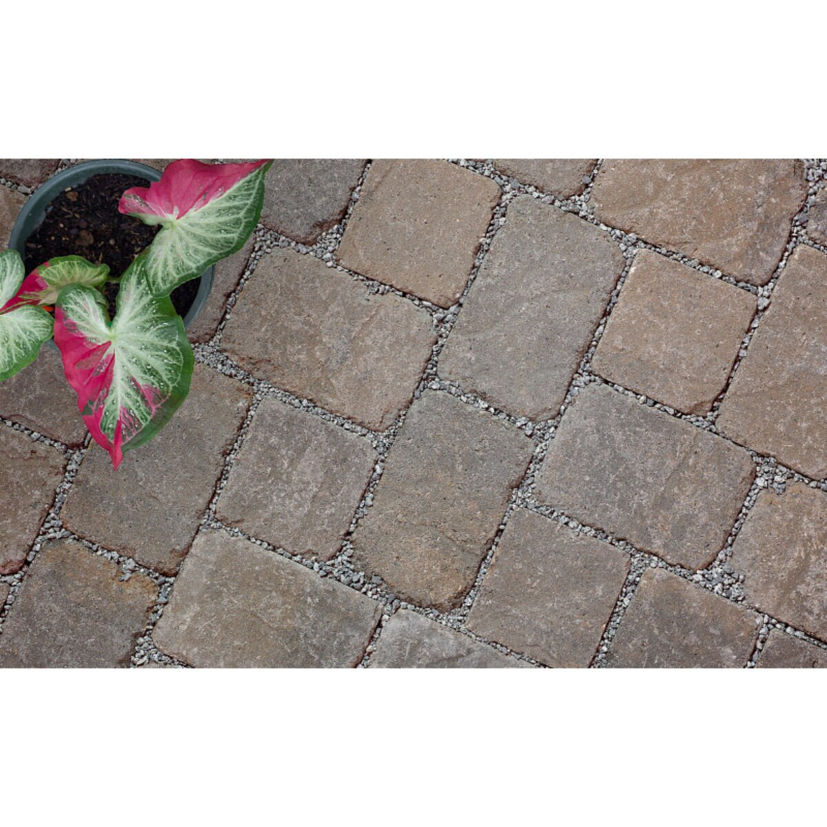 Basalite Italian Renaissance Verona Mega (102 sq. ft./pallet) | SiteOne US