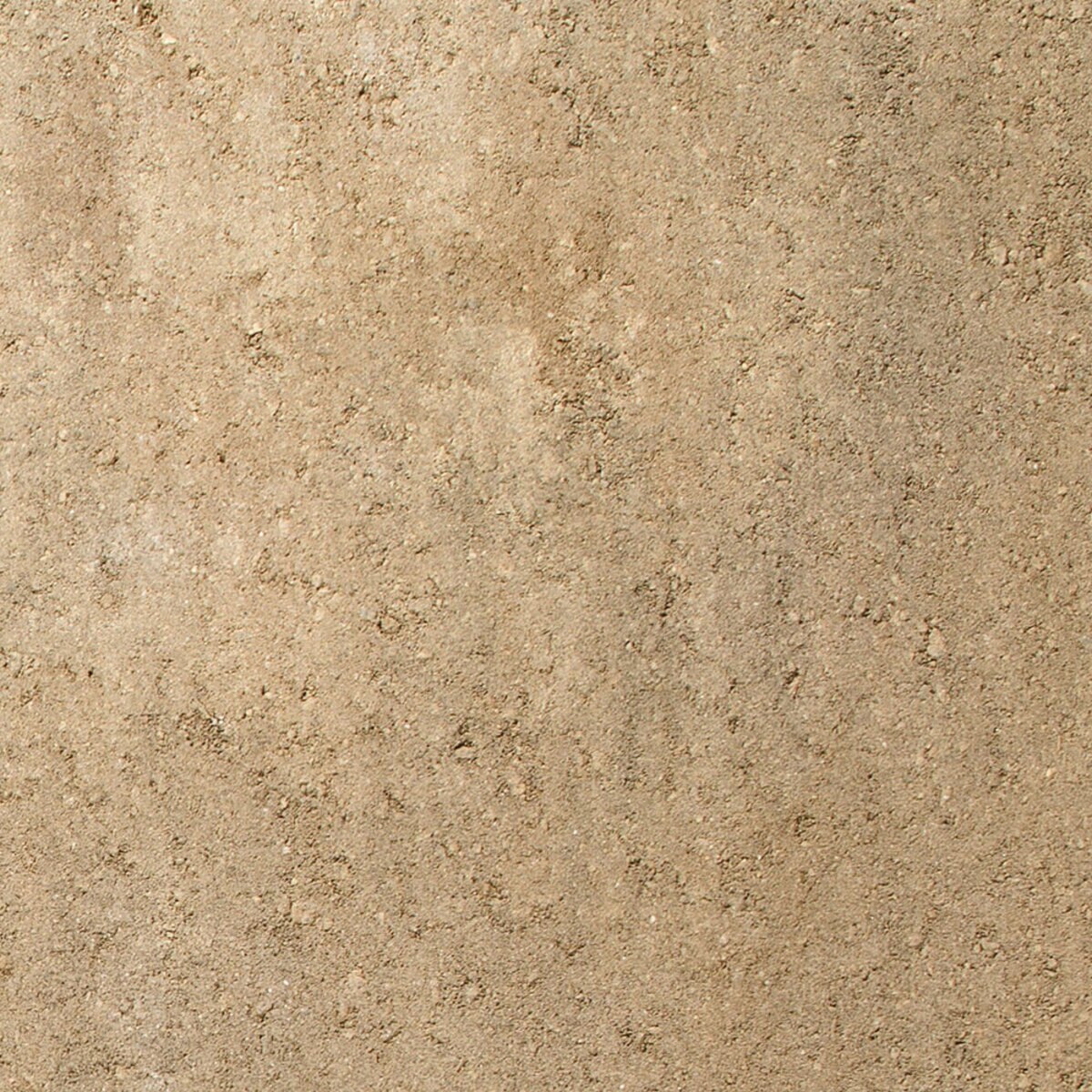 Belgard Marina Bullnose Coping Montecito 6 in. x 12 in. (126 pc./pallet ...