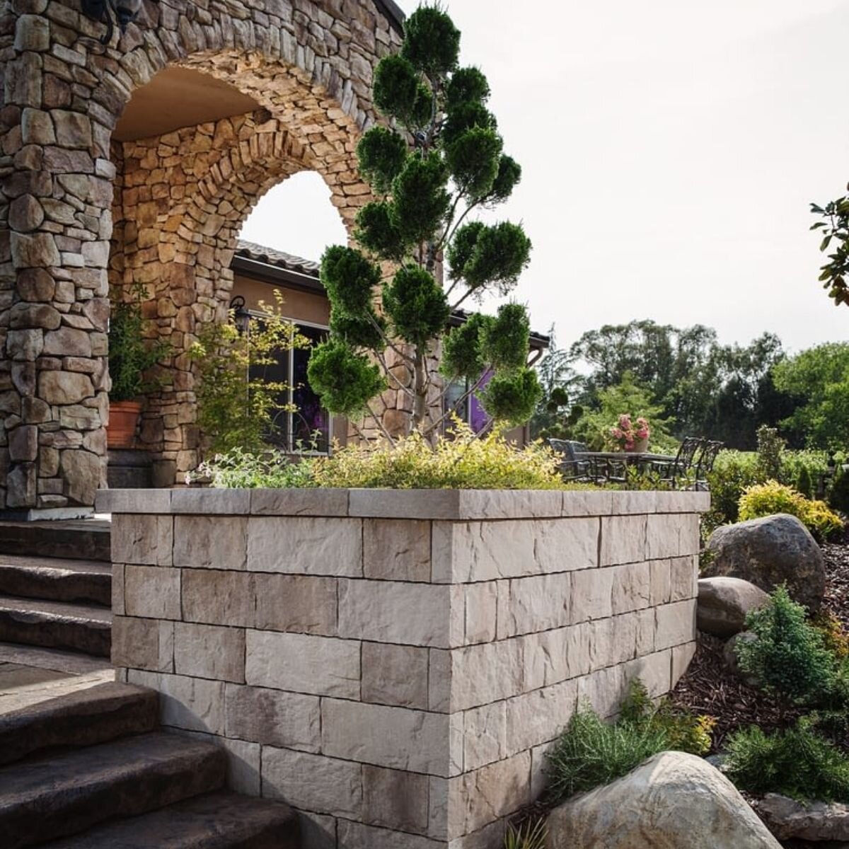 Belgard Tandem Wall Cap Textured Edge Victorian 24 in. x 15 in. x 3-1/4 ...