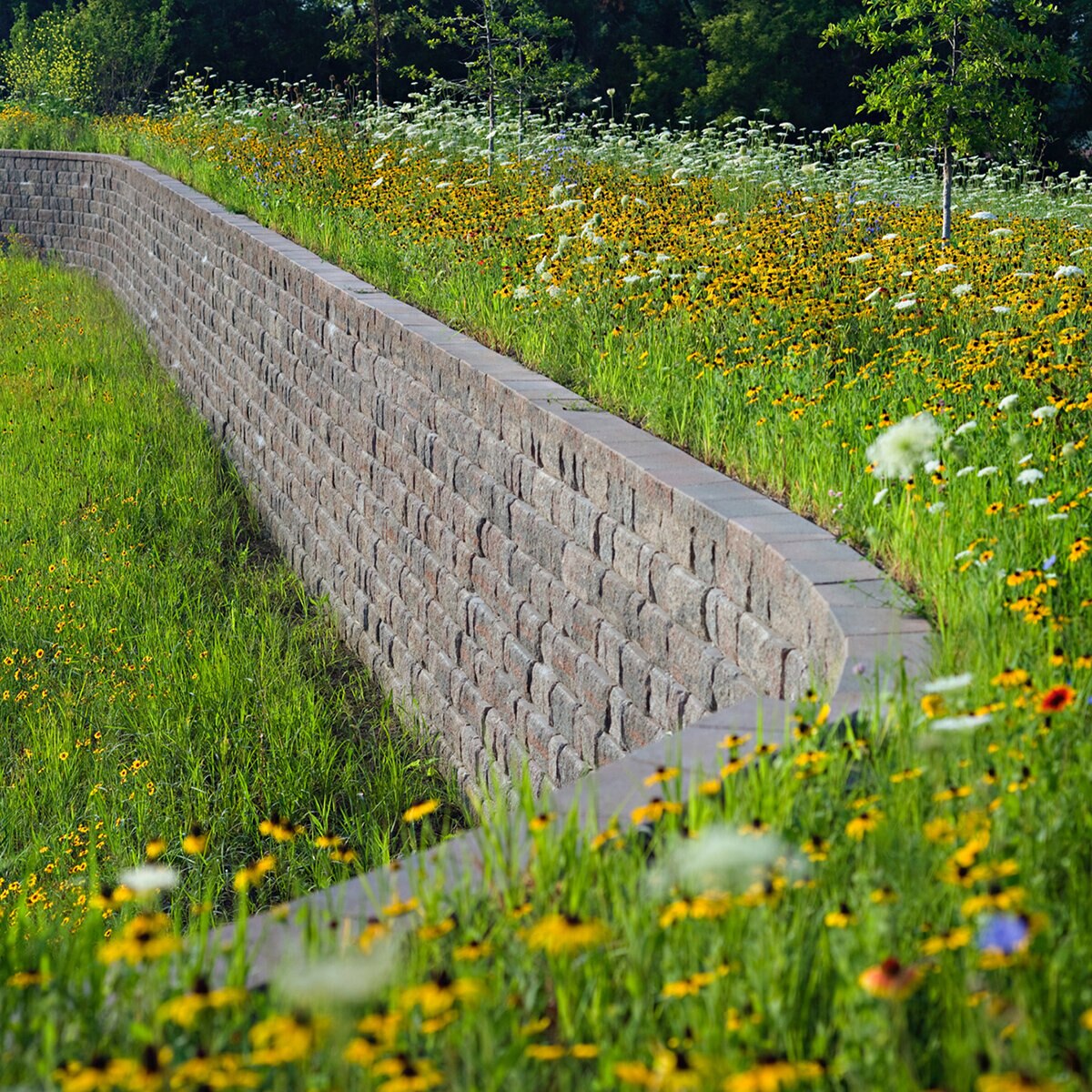 Belgard Anchor Diamond Pro Wall Block Beveled Face Gray 8 in. x 18 in ...