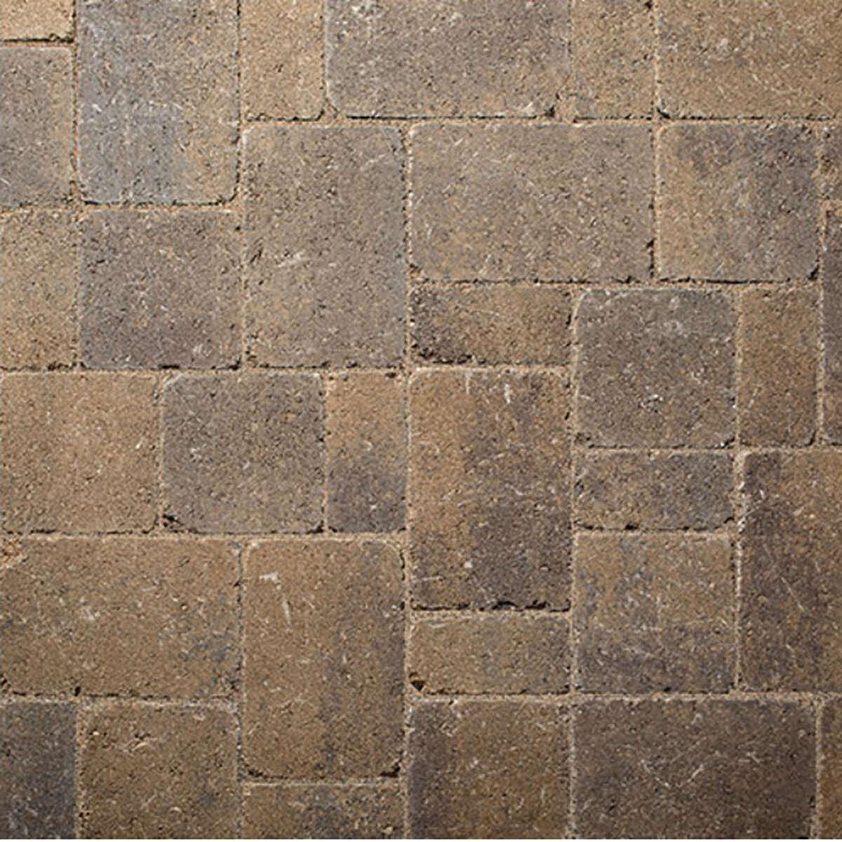 Belgard Cambridge Cobble Paver Standard Rio Blend 6 in. x 6 in. (120 sq ...