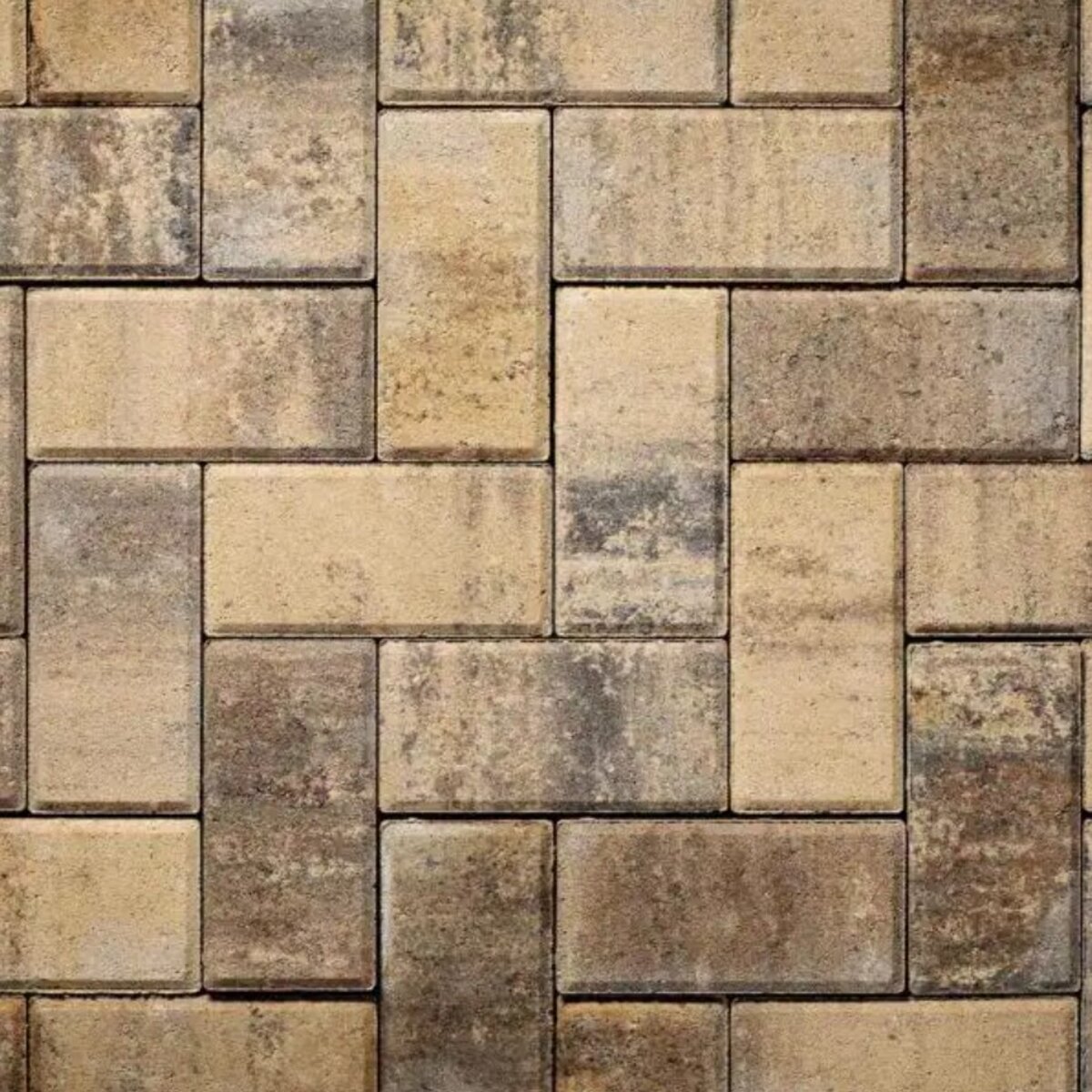 Belgard Holland Stone Paver Avondale 4 in. x 8 in. 60 mm (120 sq. ft ...