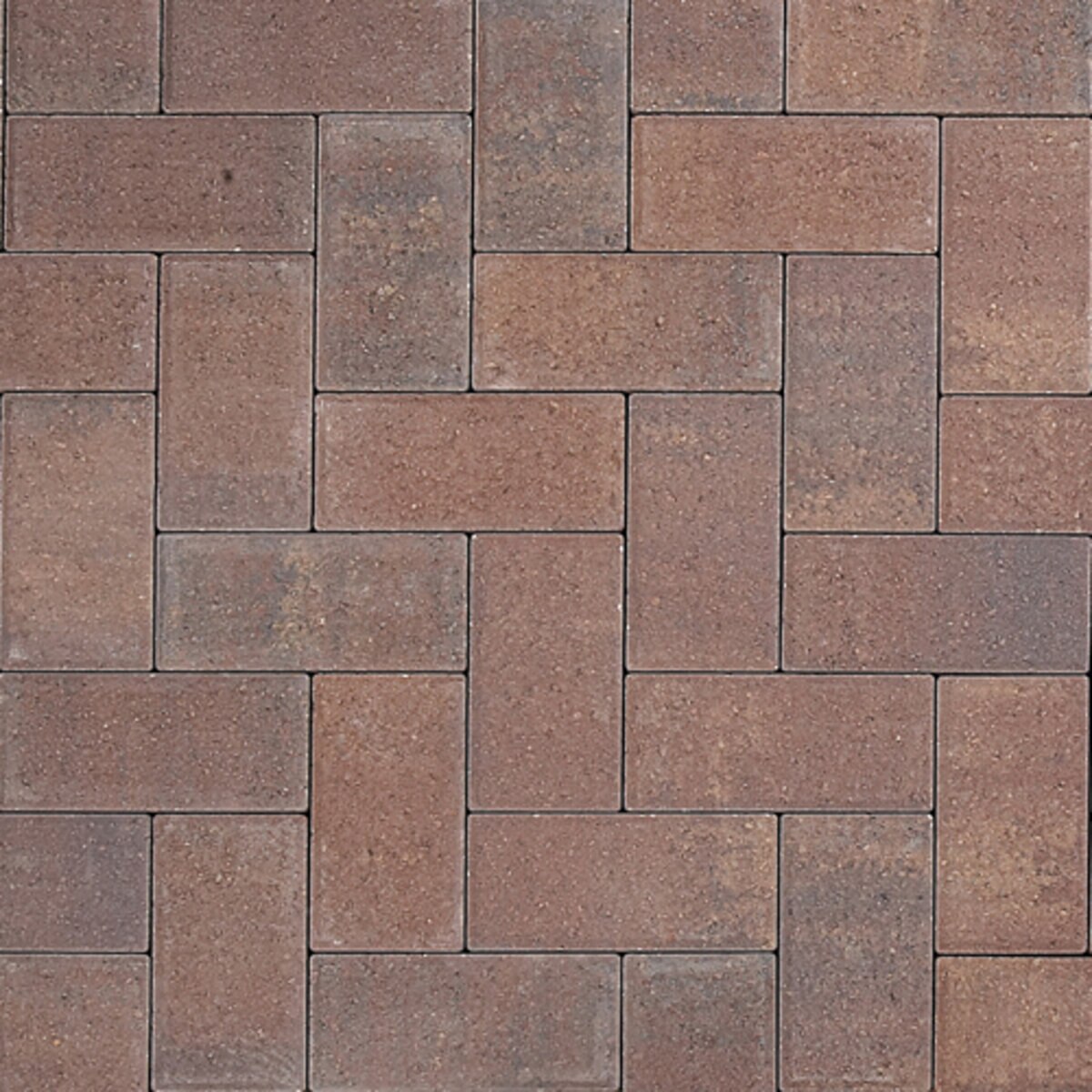 Belgard Holland Stone Prestige Paver DuraFusion Ashbury Haze 60 mm (120 ...