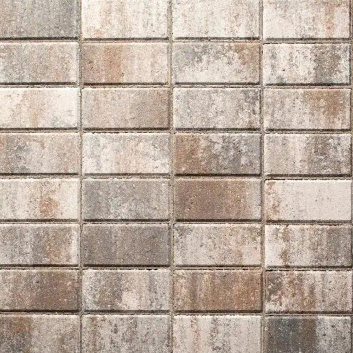 Belgard Holland Stone Paver Napoli 4 in. x 8 in. 60 mm (104 sq. ft ...