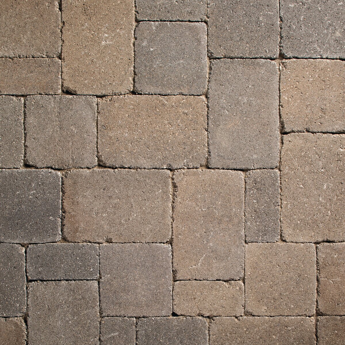 Belgard Dublin Cobble Paver Circle Cotswold Mist (73 sq. ft./pallet) | SiteOne US