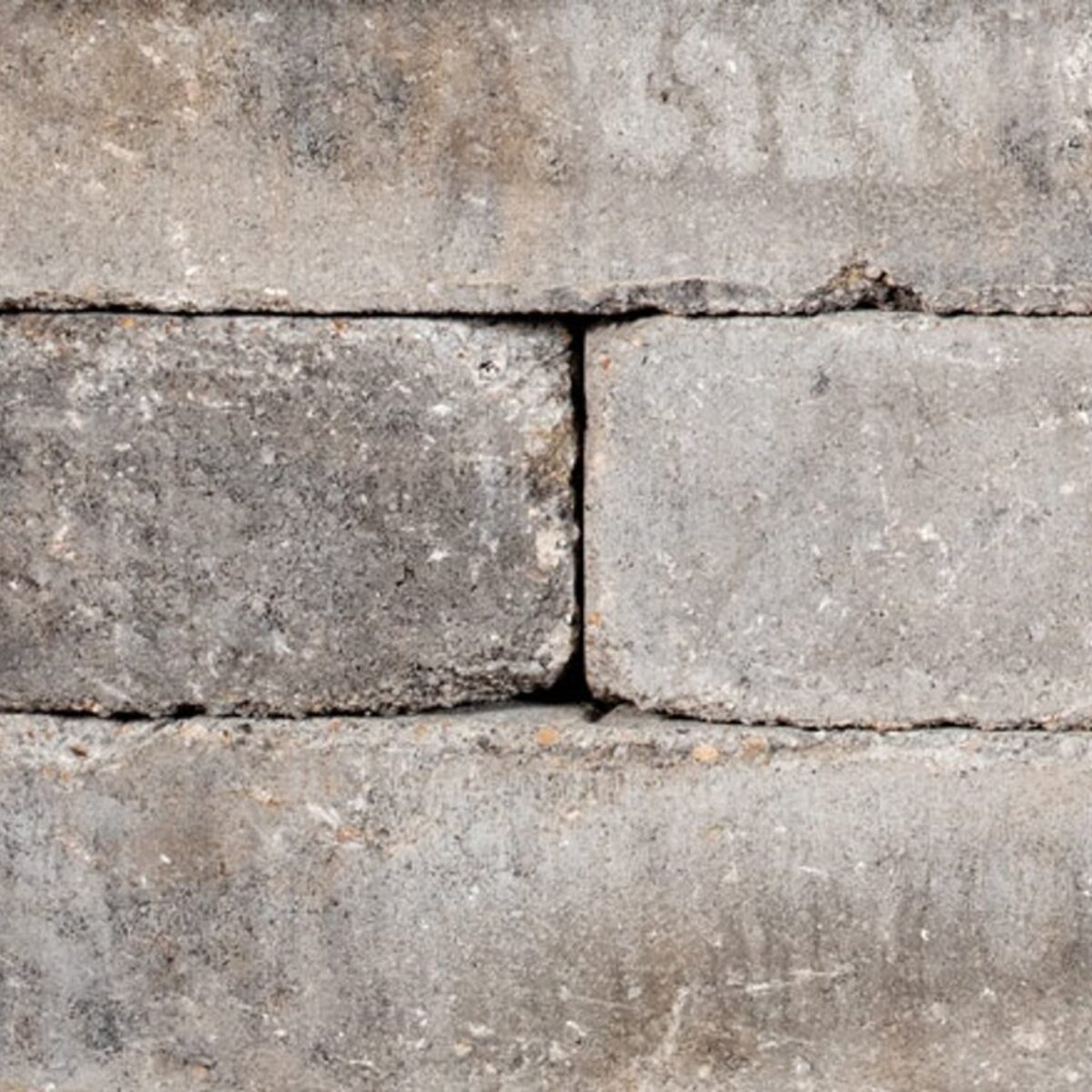 Belgard Weston Stone Wall Block 3pc Lueders Gray 4 in. x 8 in. x 8 in ...
