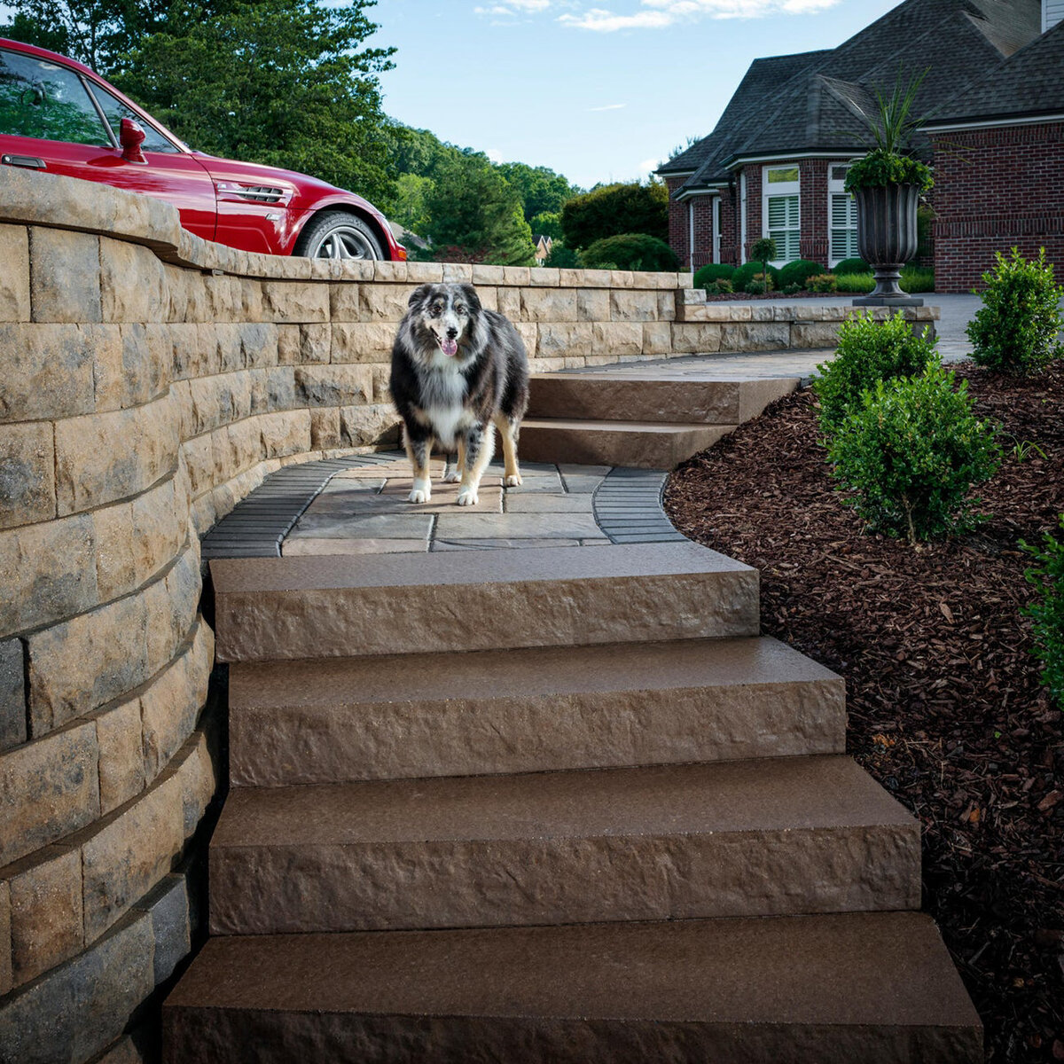 Belgard Landings Step Blu Stone 48 in. x 18 in. x 6 in. (6 pc./pallet ...