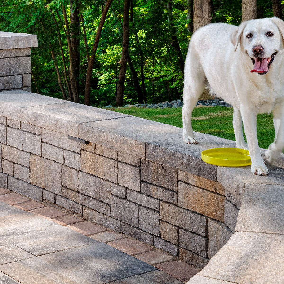 Belgard Ashlar Tandem Wall Block Avondale (70 sq. ft./pallet) | SiteOne US