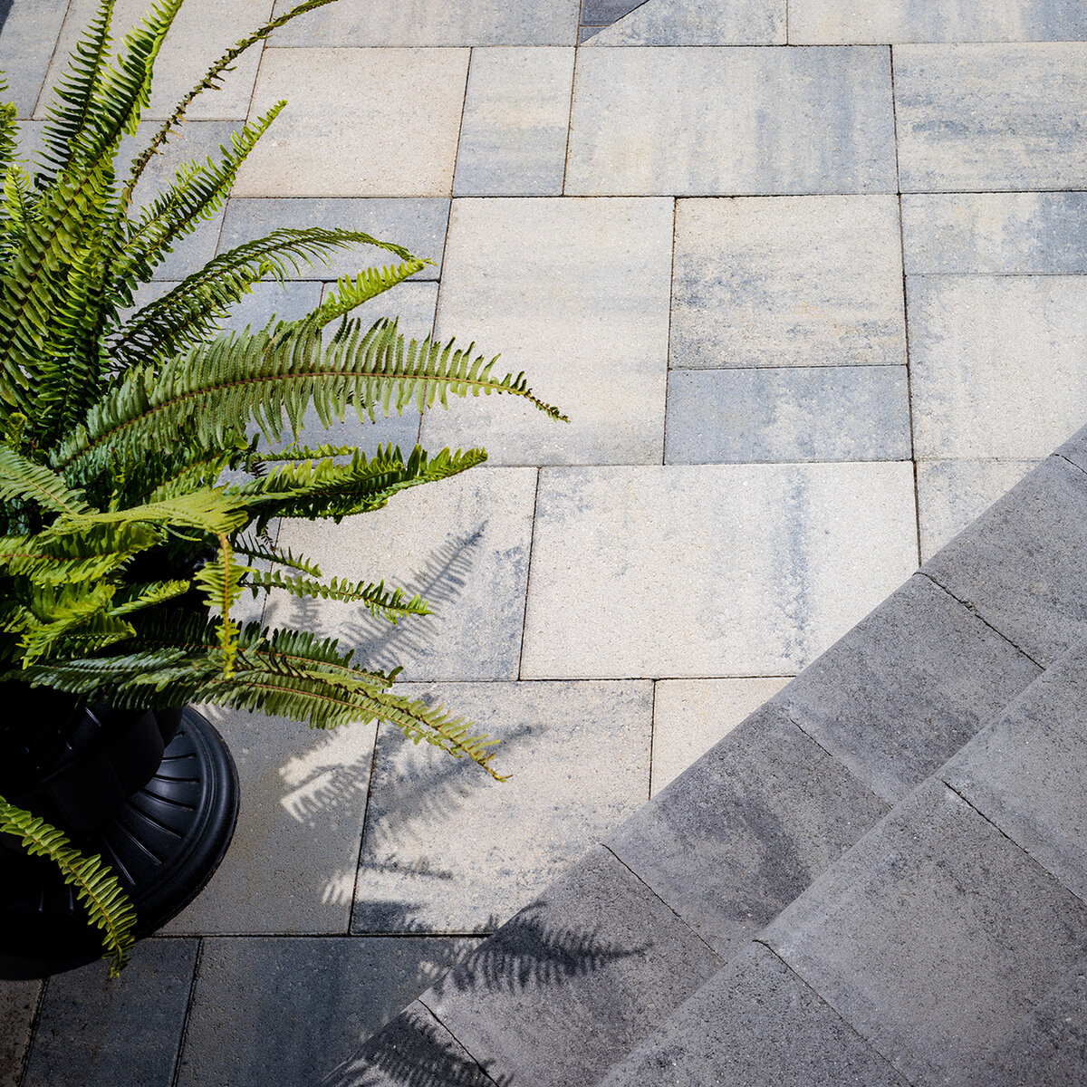 Belgard Dimensions Series Paver Aspen 12 in. x 18 in. 60 mm (120 sq. ft ...