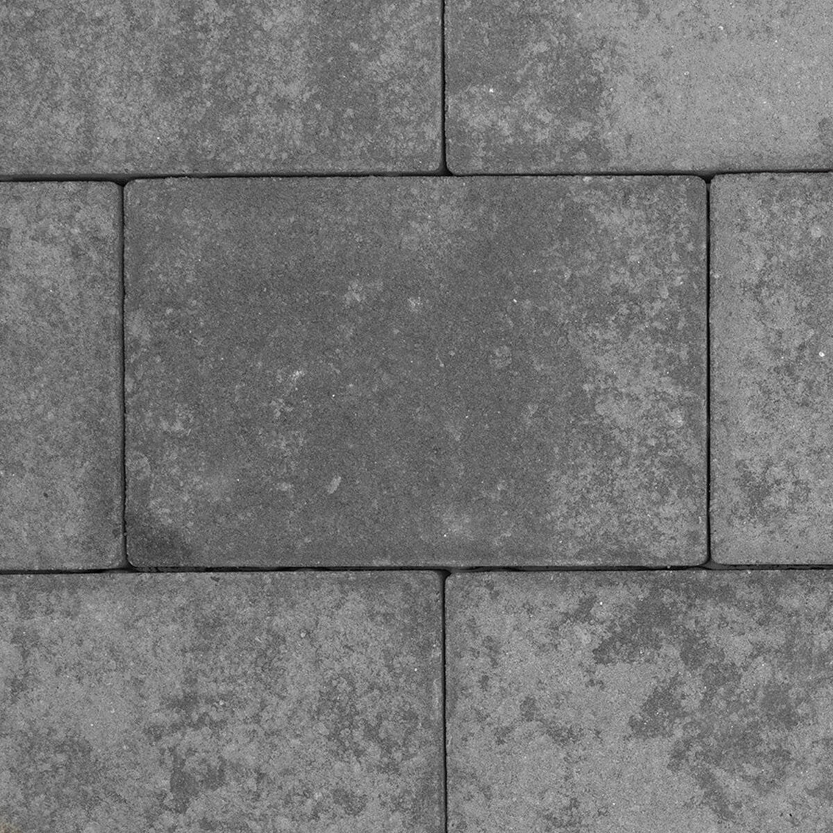 Belgard Marina Bullnose Pool Coping Foundry 6 in. x 12 in. 60 mm (126 ...