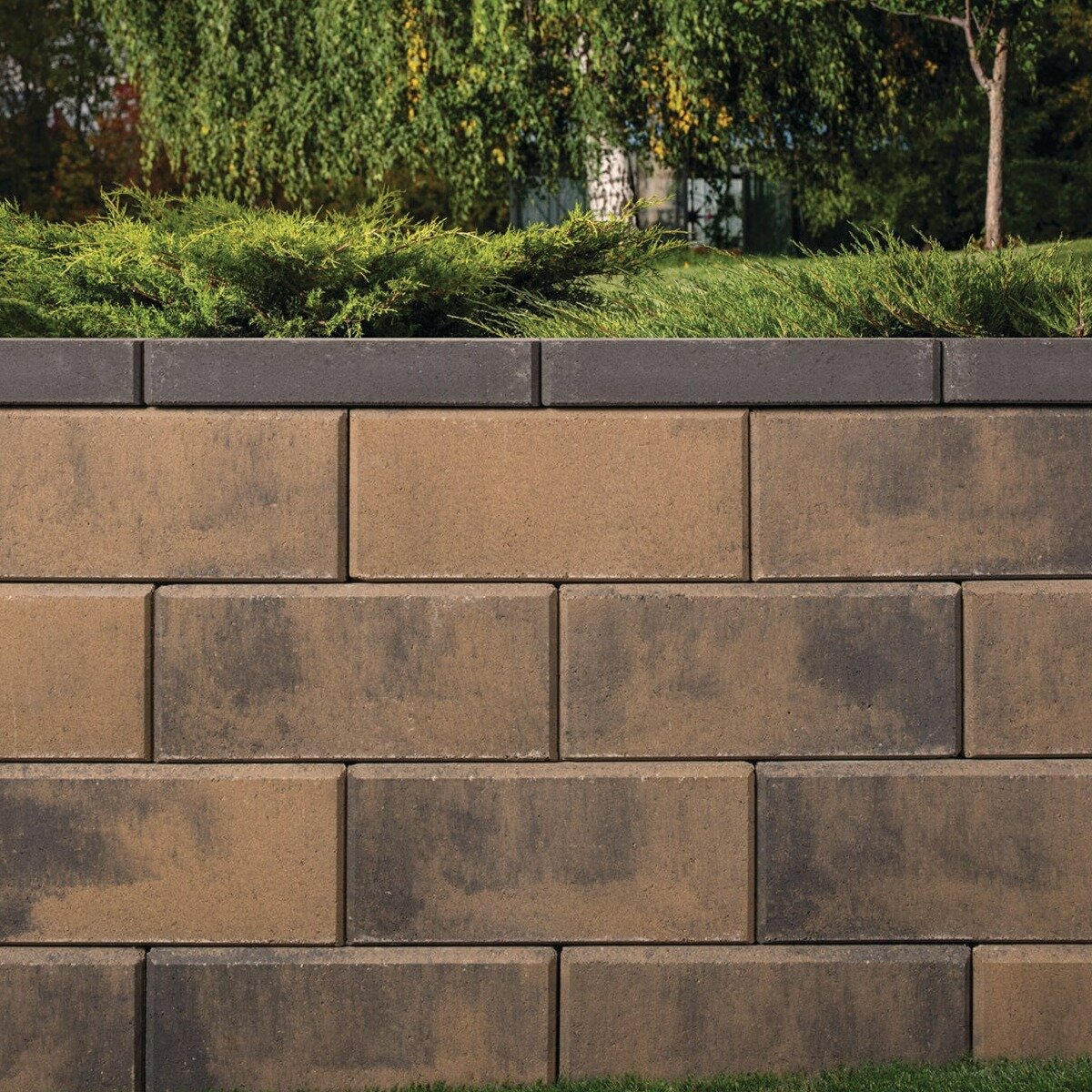 Belgard Allan Block Metro Collection Wall Block Smooth Driftwood 7.625 ...