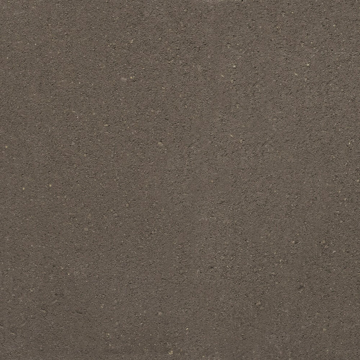Belgard Origins Accent Paver TextureGuard Russet 6 in. x 6 in. 60 mm ...