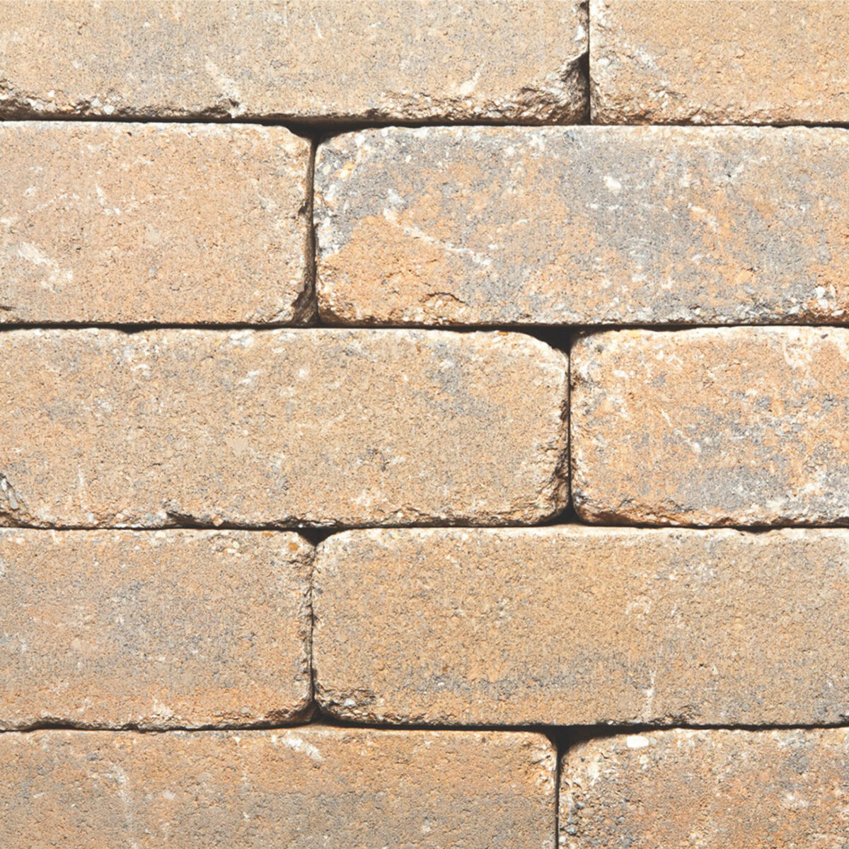 Belgard Weston Stone Wall Block Fossil Beige 4 in. x 8 in. (40 sq. ft ...