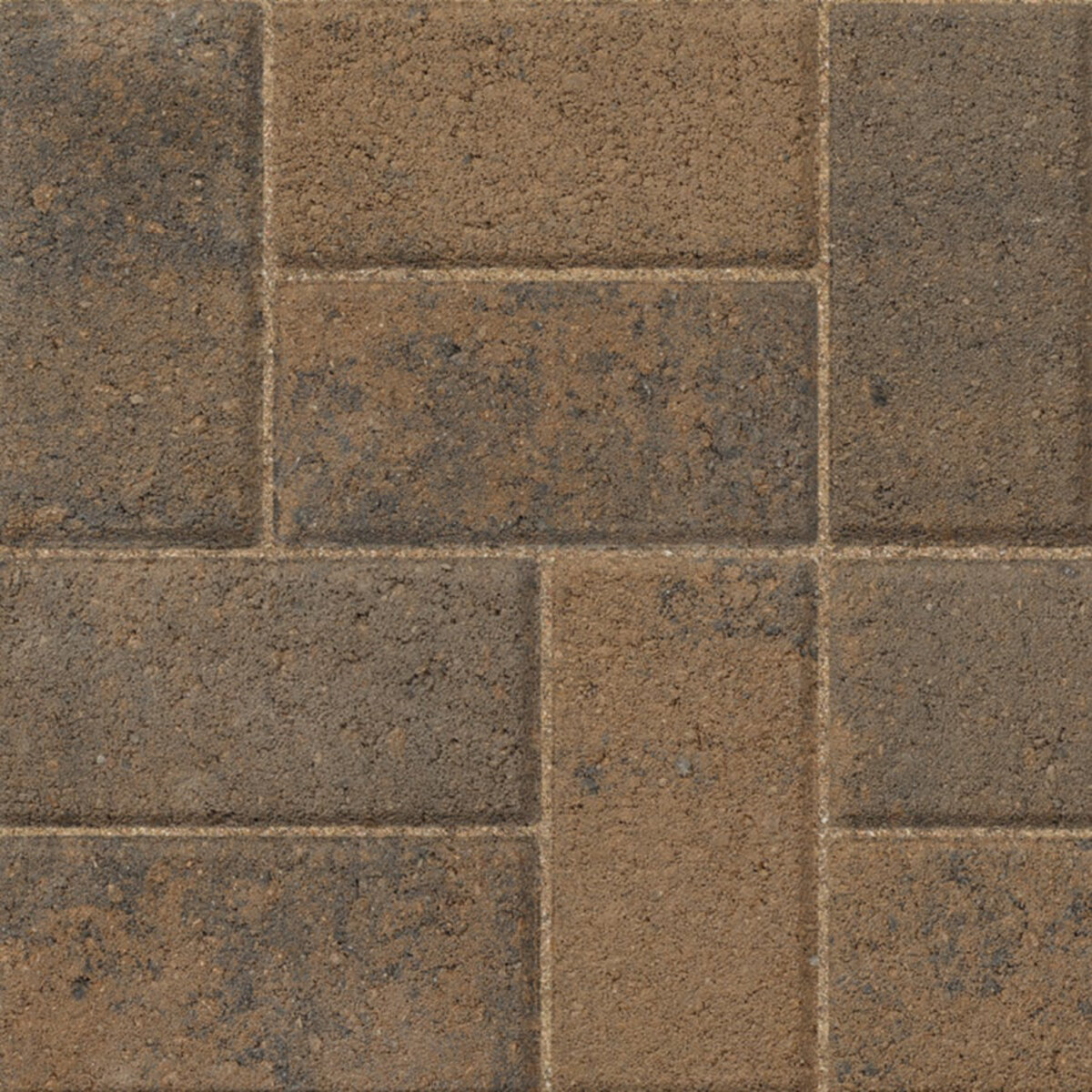 Belgard Holland Stone Paver Colortech 4 in. x 8 in. Burnt Amber 60 mm ...