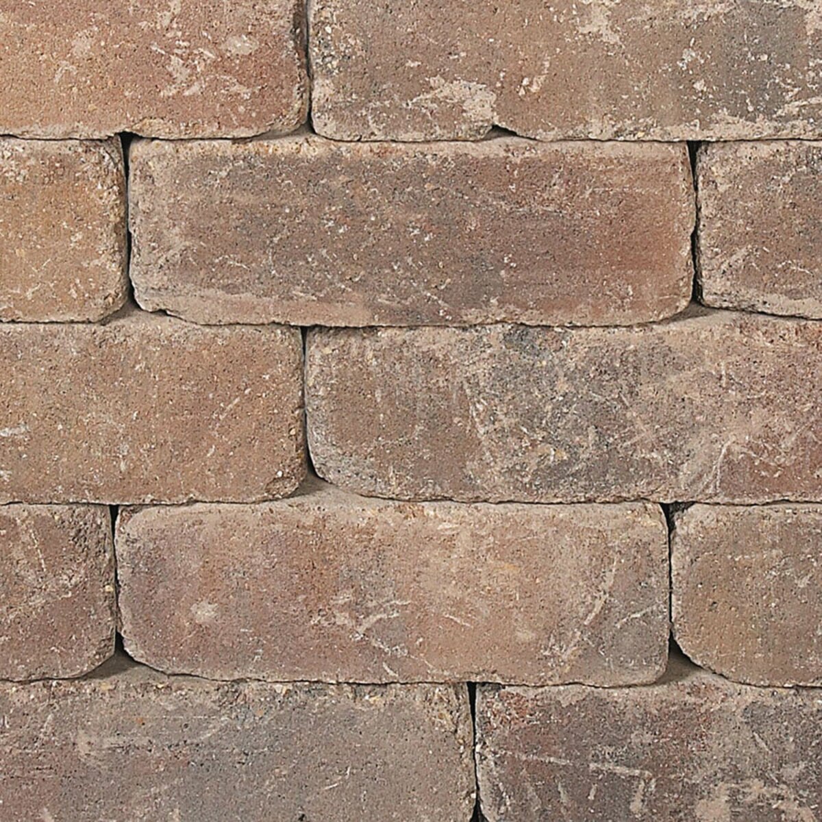 Belgard Weston Stone Wall Cap Tumbled Aspen 4 in. x 8 in. (112 pc ...