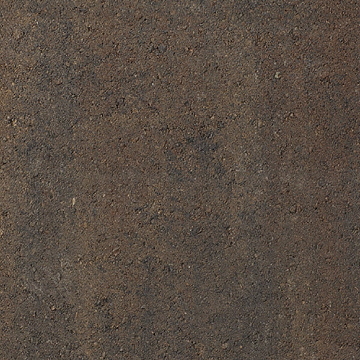 Belgard Marina Coping Bullnose Sierra Blend 3-1/2 in. x | SiteOne