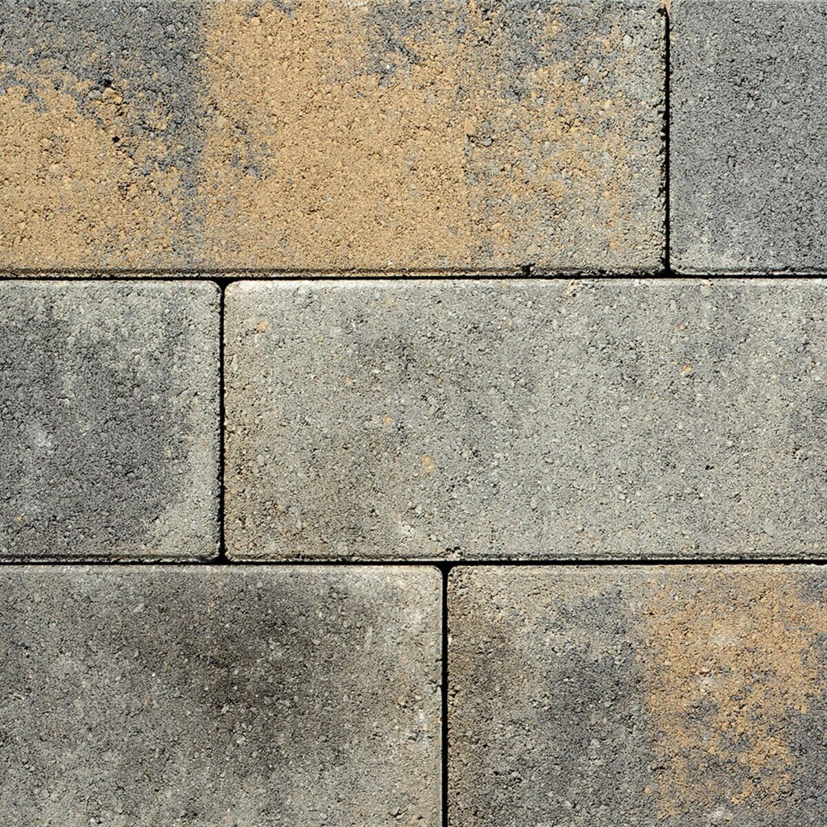 Belgard Melville Plank Paver Slim 3 pc. Victorian 5 in. 60 mm (114.5 sq ...