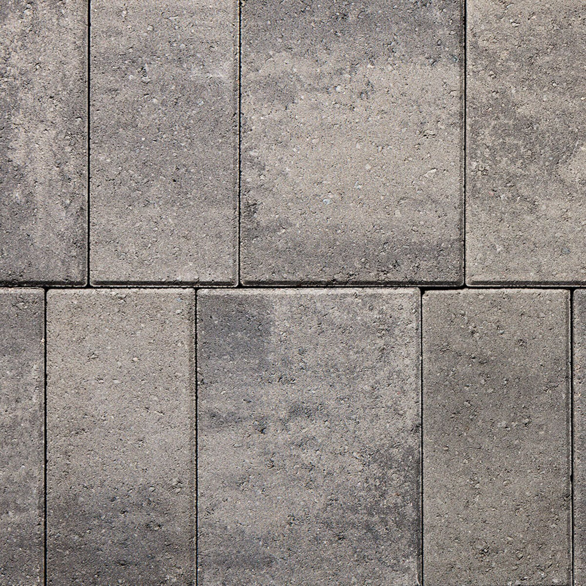 Belgard Catalina Grana Paver Rio 6 in. x 9 in. (112 sq. ft./pallet ...