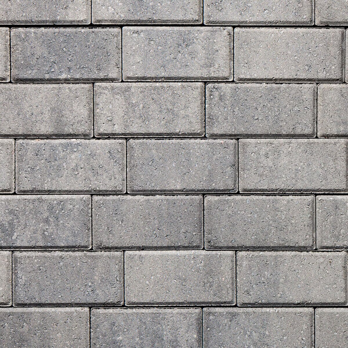 Belgard Holland Stone Paver Rio 4 in. x 8 in. 80 mm (96 sq. ft./pallet ...