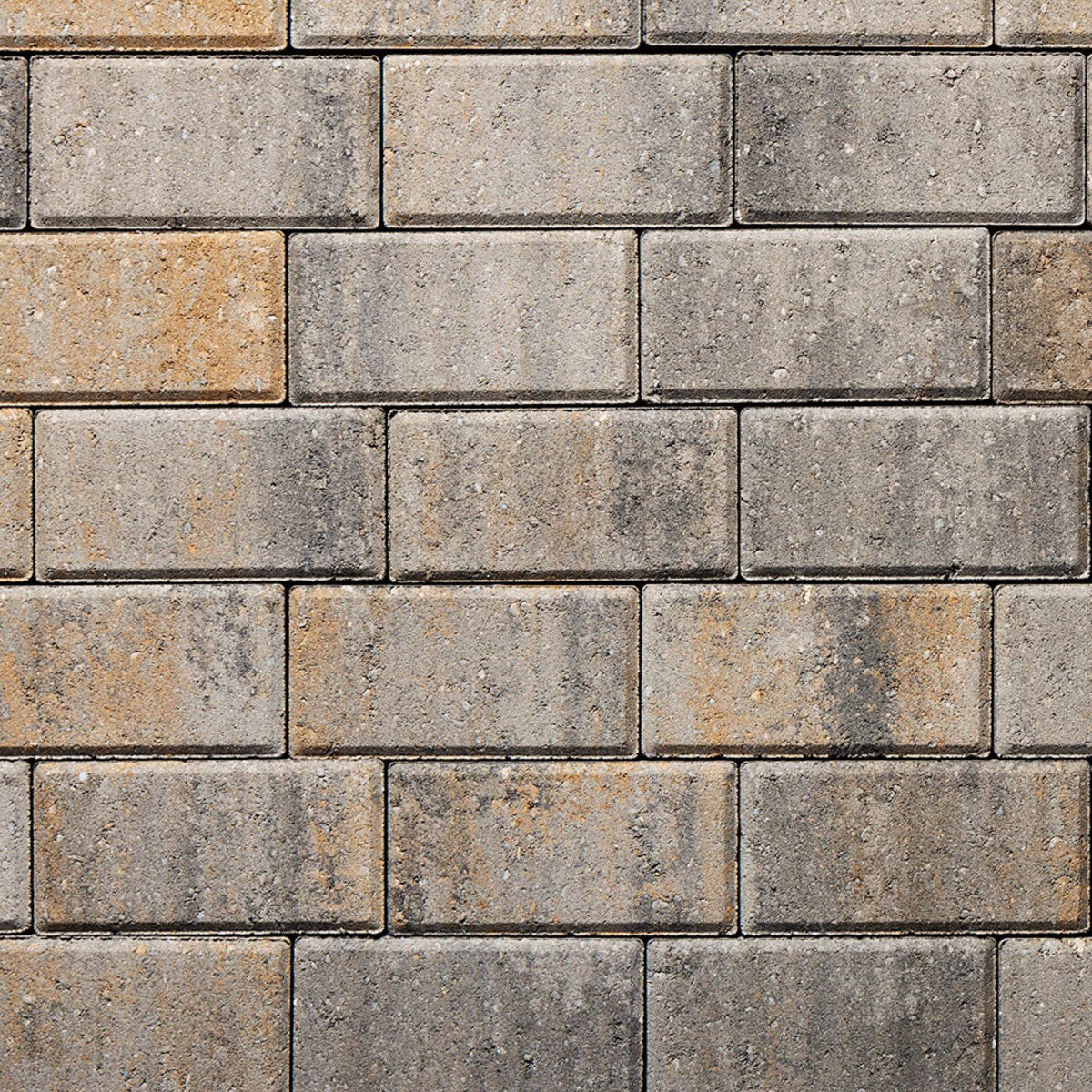 Belgard Holland Stone Paver Victorian 4 in. x 8 in. 80 mm (96 sq. ft ...