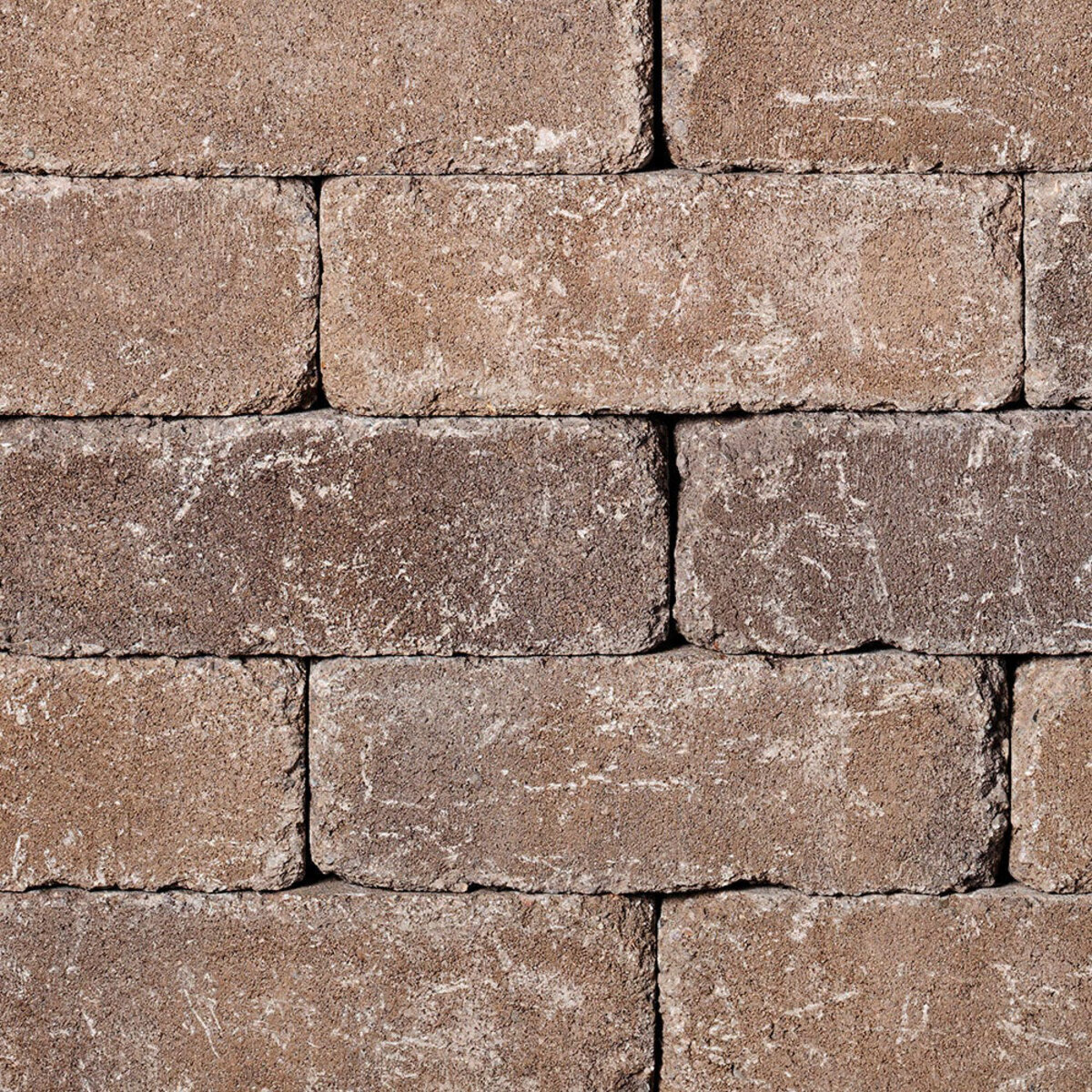 Belgard Weston Stone Universal Wall Block Sierra Blend 12 in. x 8 in. x ...