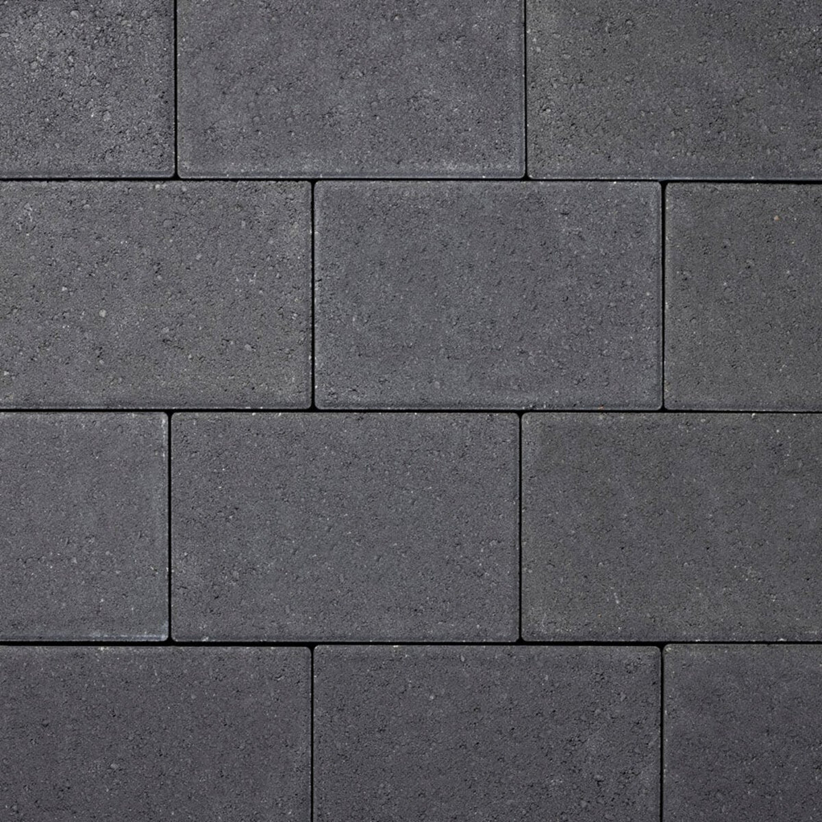 Belgard Origins Paver Graphite 6 in. x 9 in. 60 mm (120 sq. ft./pallet ...