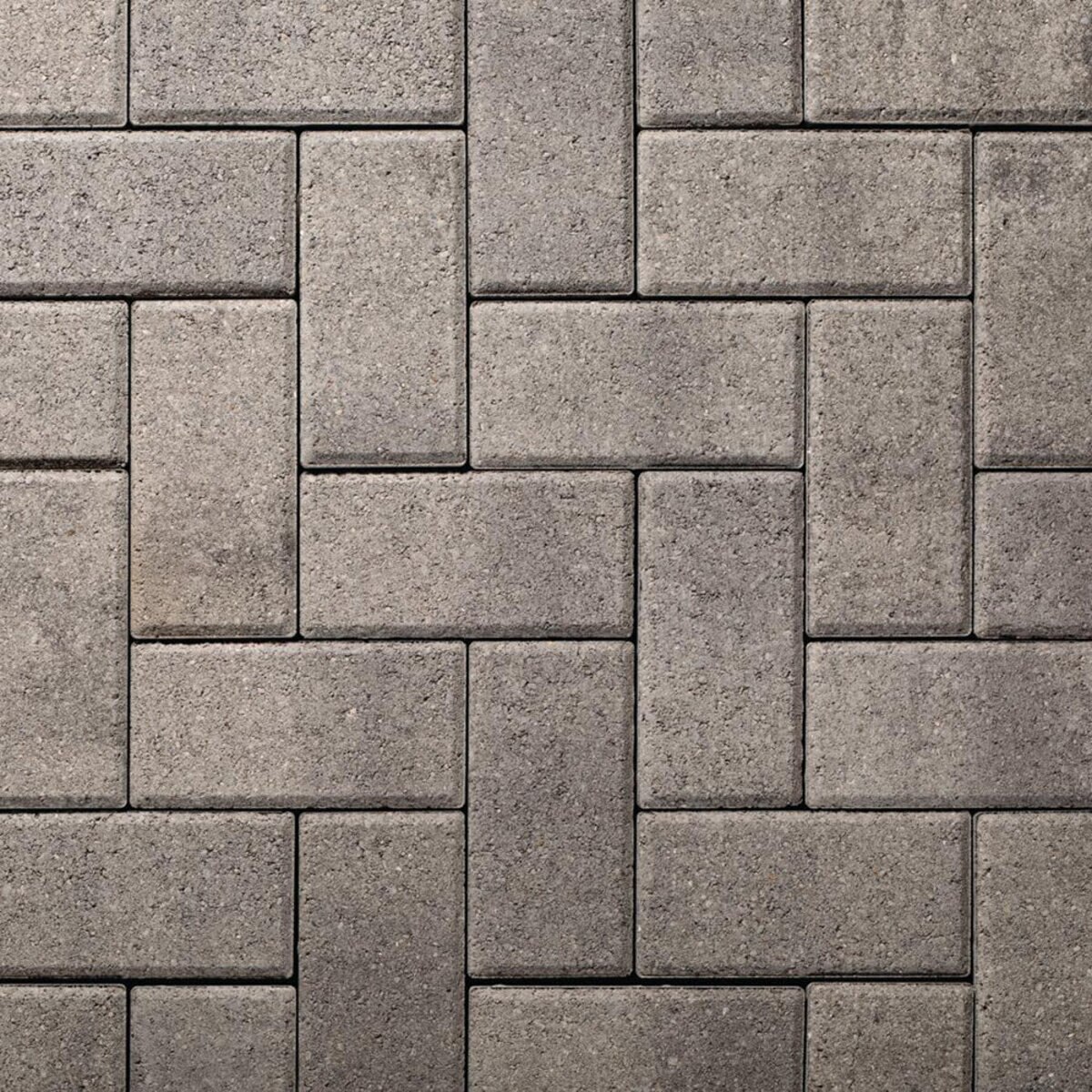 Belgard Holland Stone Paver TrueColor Pewter 60 mm (120 | SiteOne