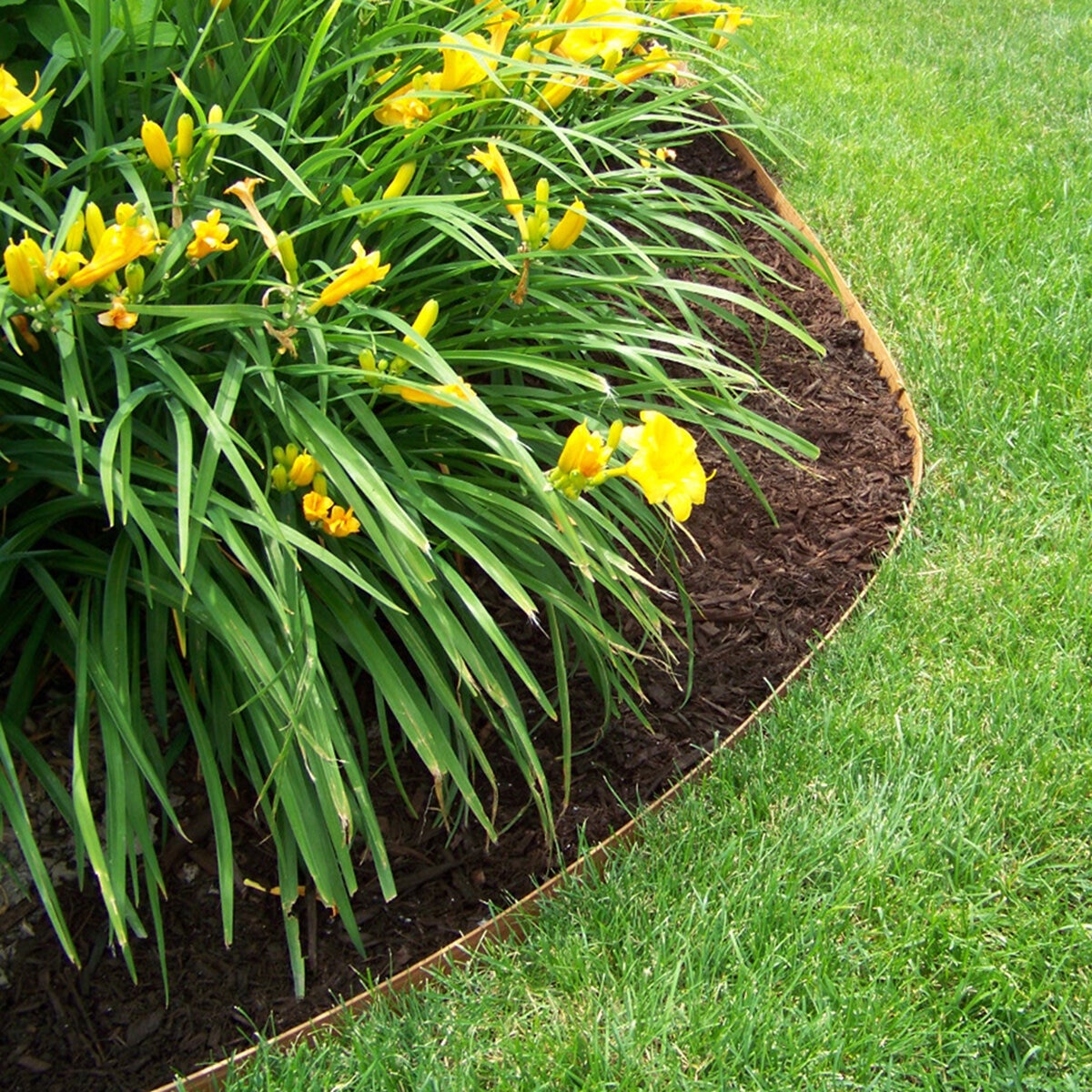 Bender Board Composite Landscape Edging Brown 1 in. x 6 in. x 20 ft ...