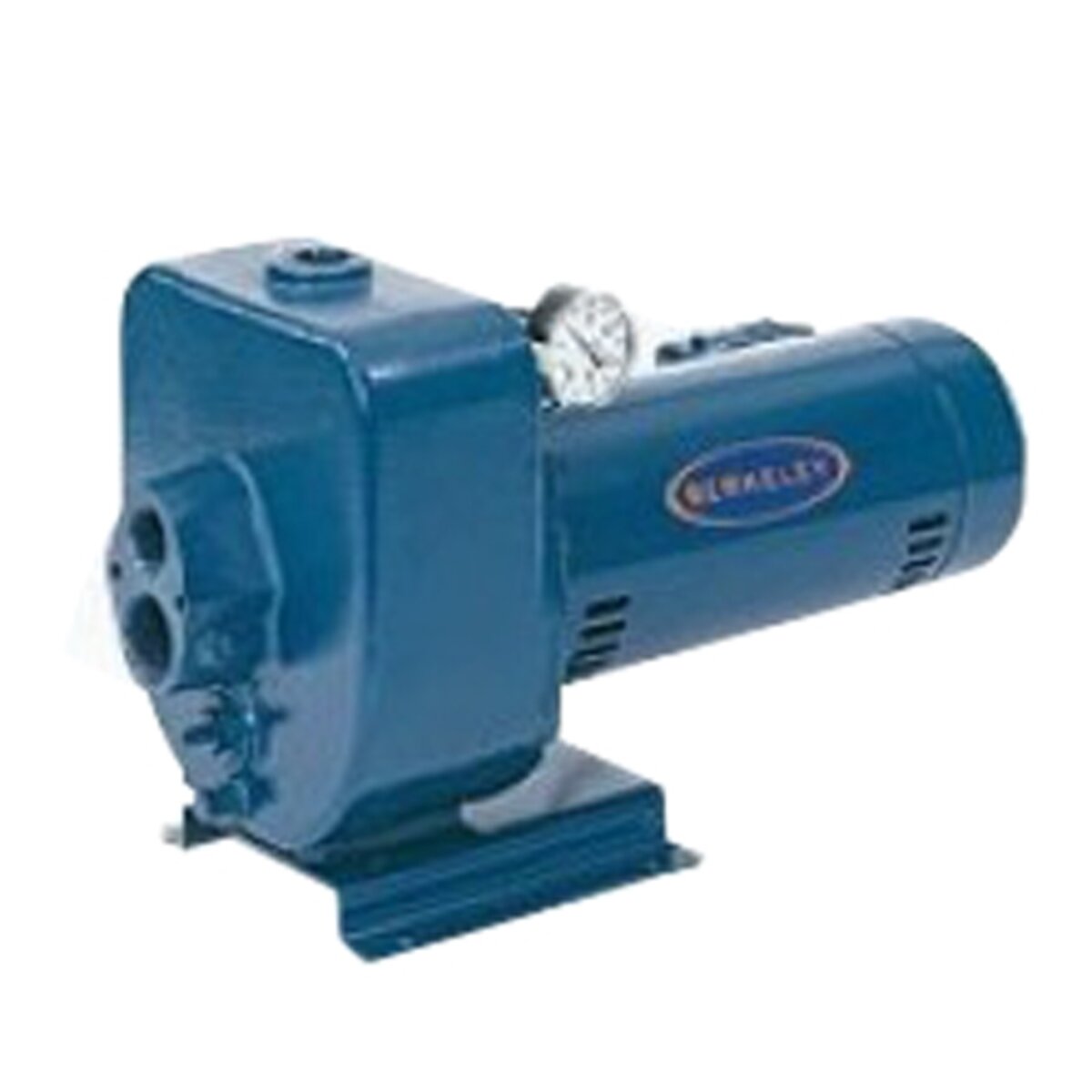 Berkeley LT2 Deep Well Multi-Stage Jet Pump 1 HP 115/230v 1 Phase Cast ...