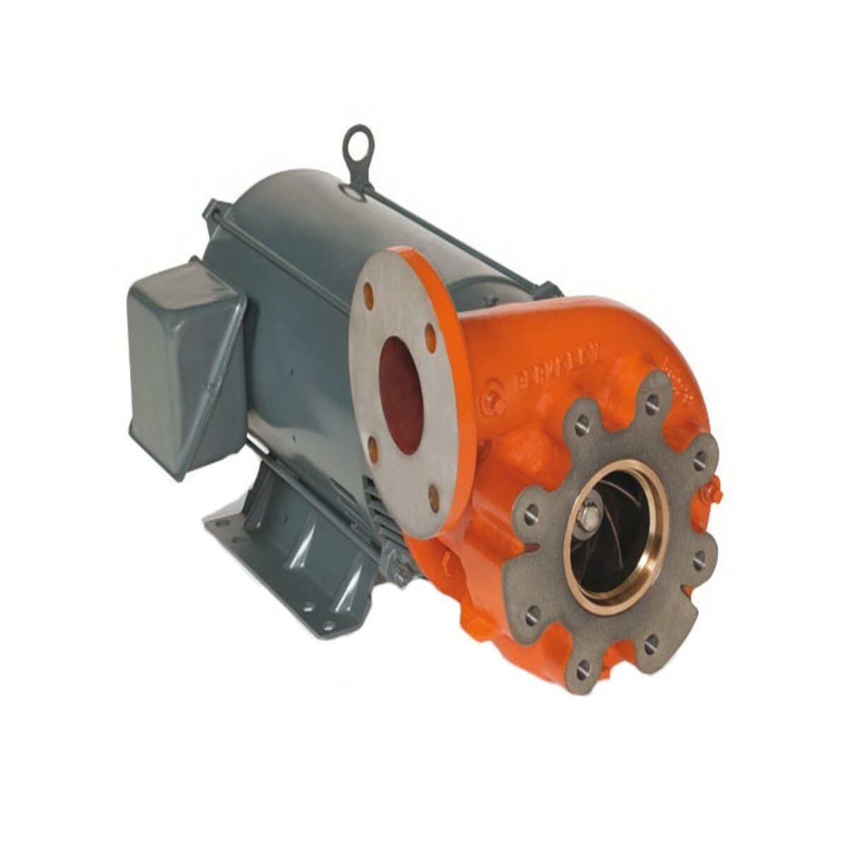 Berkeley B1-1/2TPMS Centrifugal Pump 10 HP 230v 1 Phase Cast Iron ...
